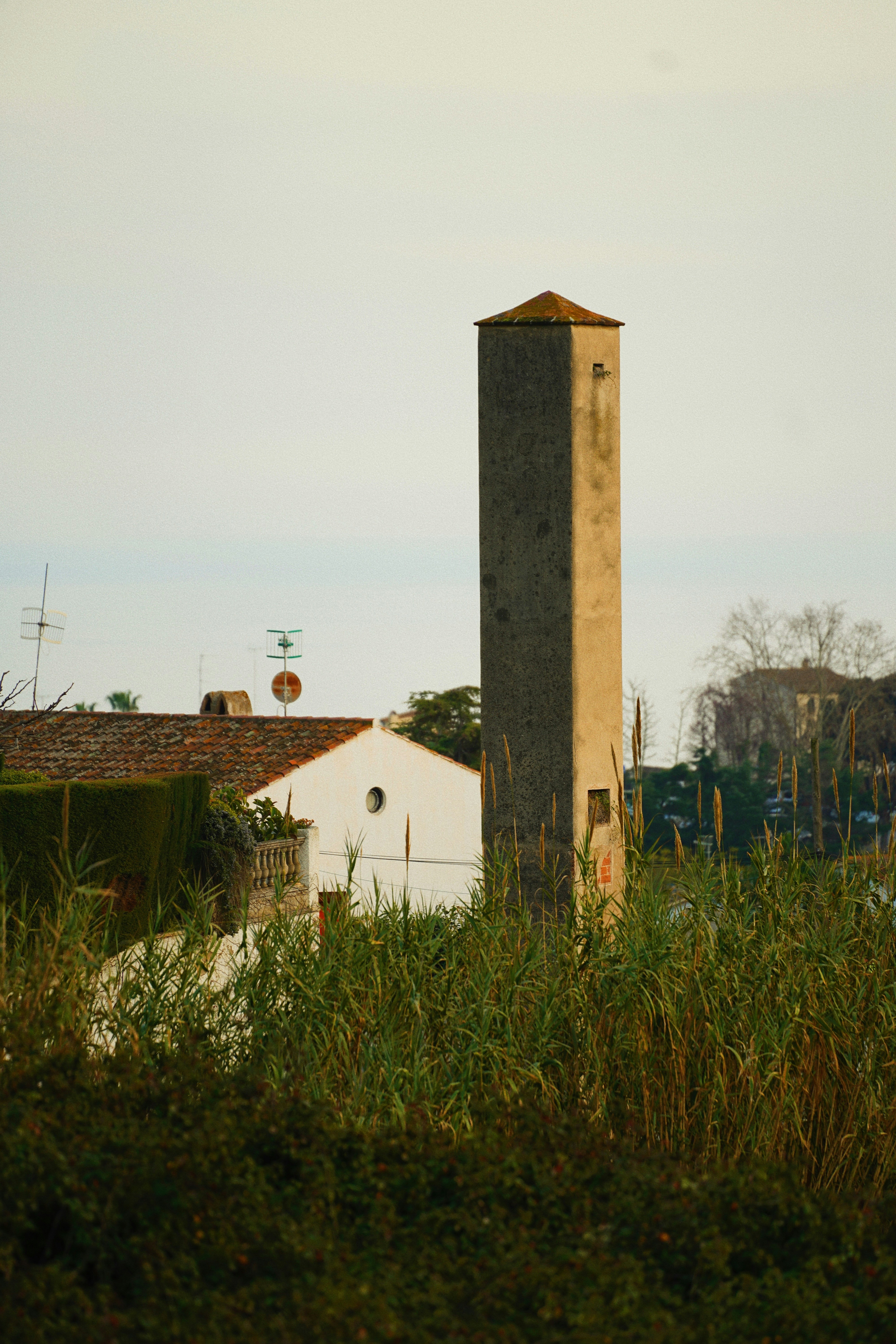 Golden Hour Sentinel: A Tall Concrete Tower Amid Reeds