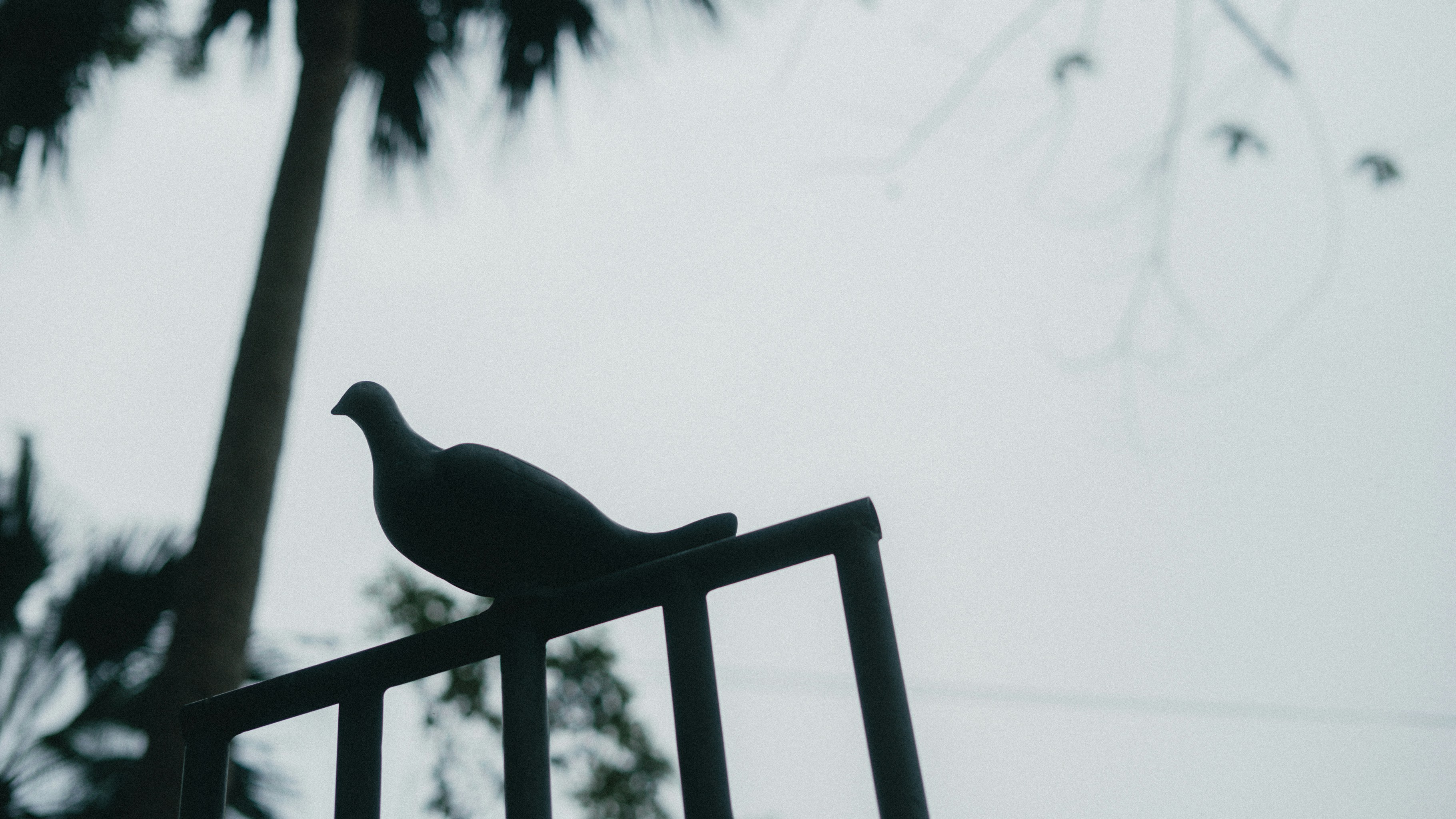 Photo by Tuan Nguyen with Sony Alpha 7C