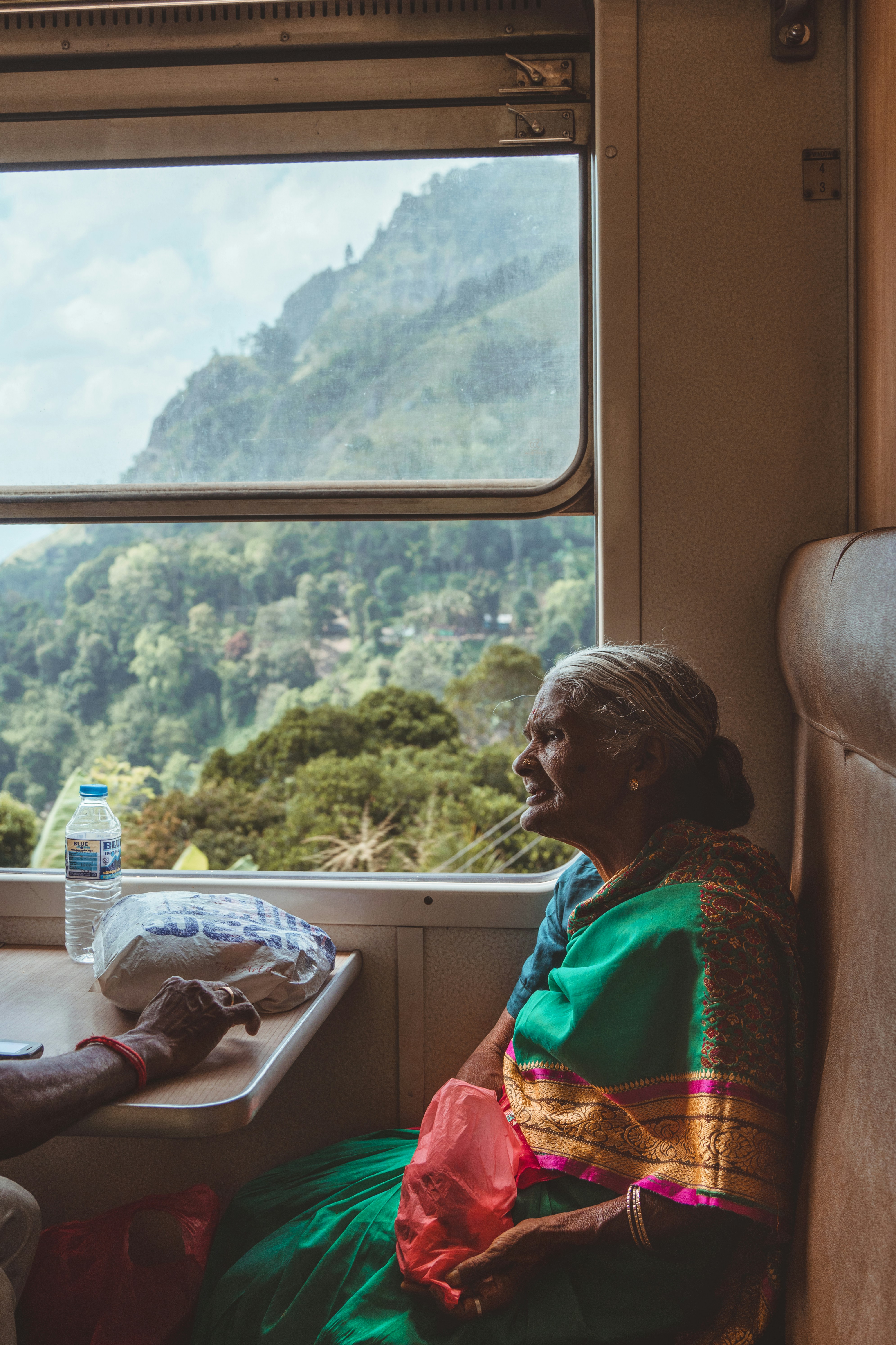 Emerald Sari Window Portrait: A Quiet Moment as Hills Sweep By