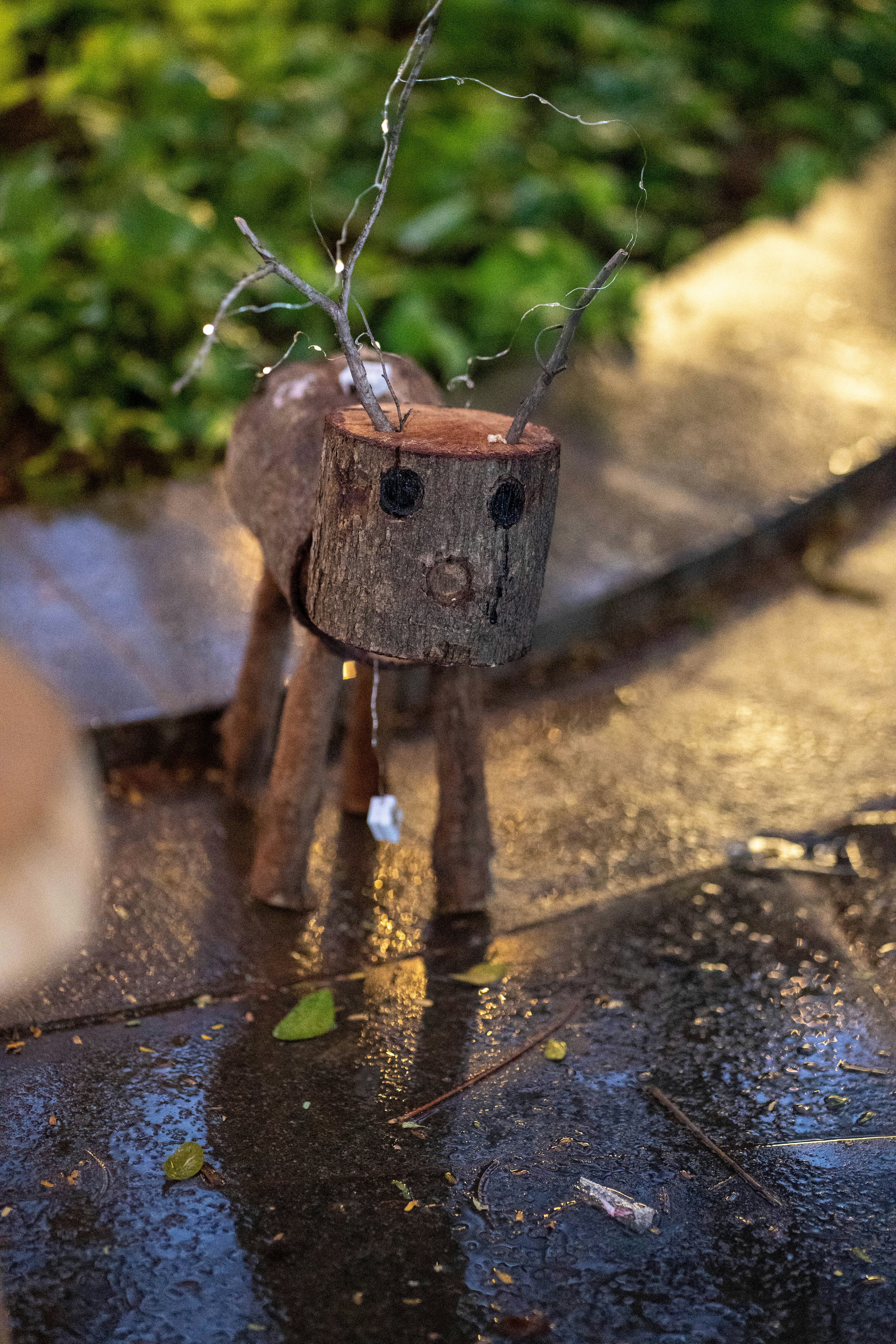 Rain-Slicked Sentinel: a twig-bodied wooden critter on a reflective sidewalk
