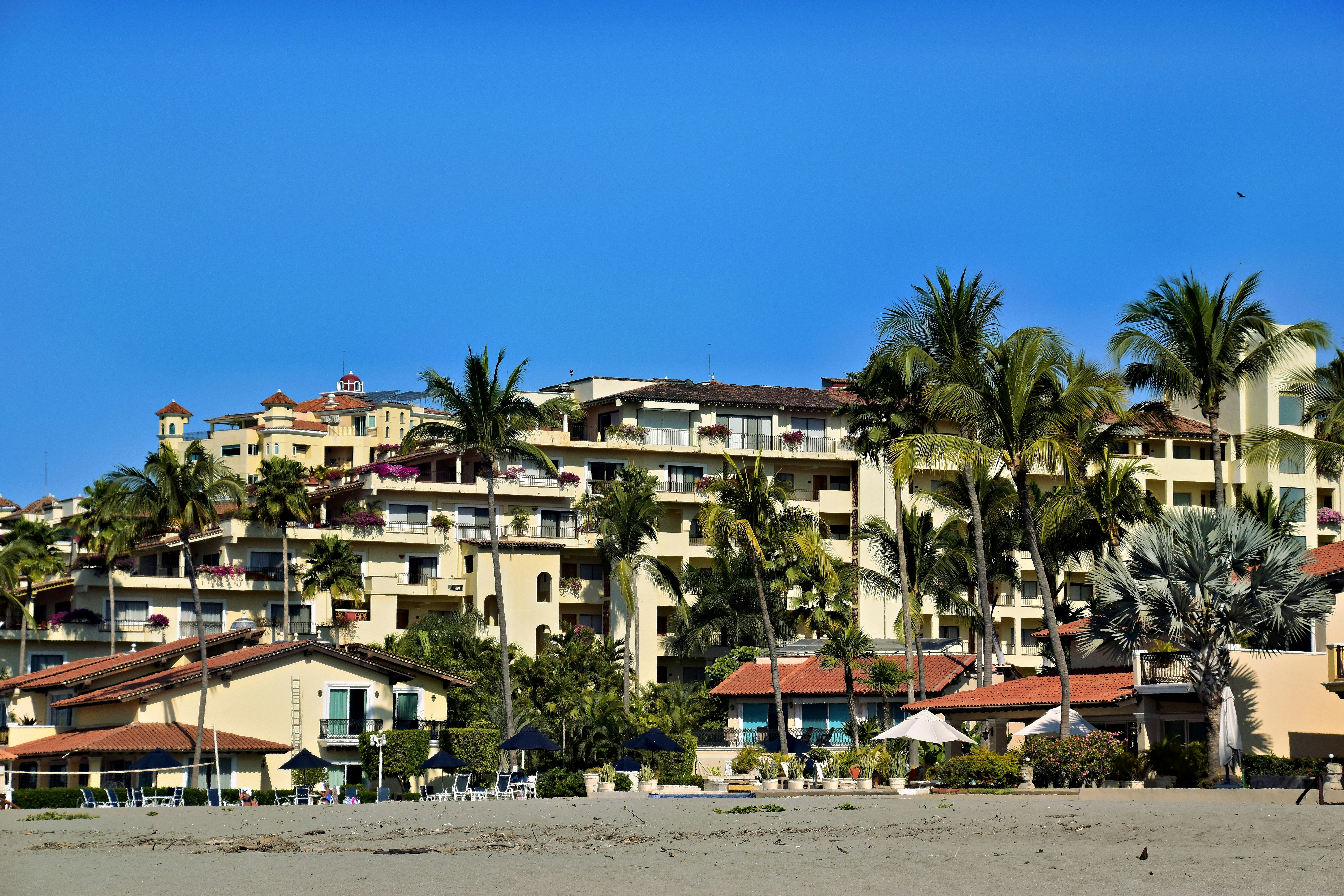 Beachfront buildings under a clear blue sky. photo – Free Building ...