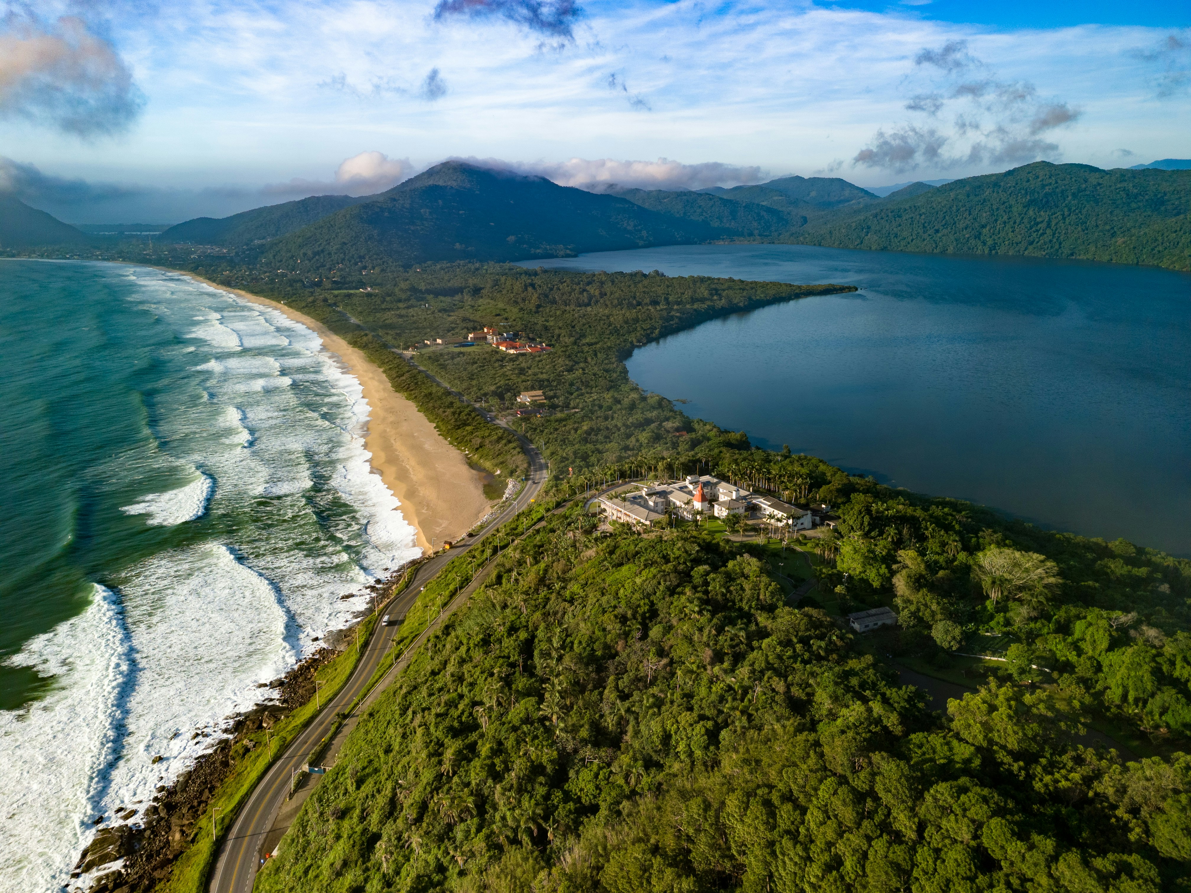 Lush green forest meets sandy beach with rolling waves under a clear sky.
