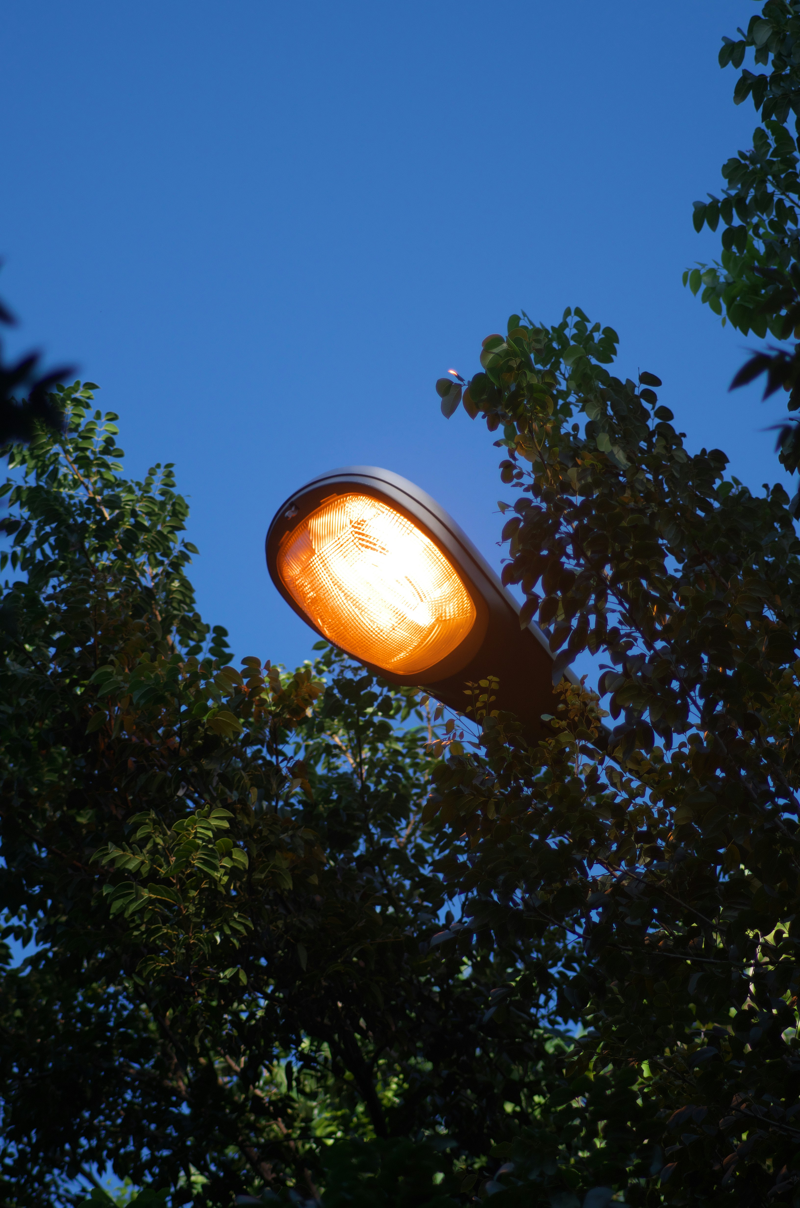 Photo by Eudys Cruz with Pentax K-01