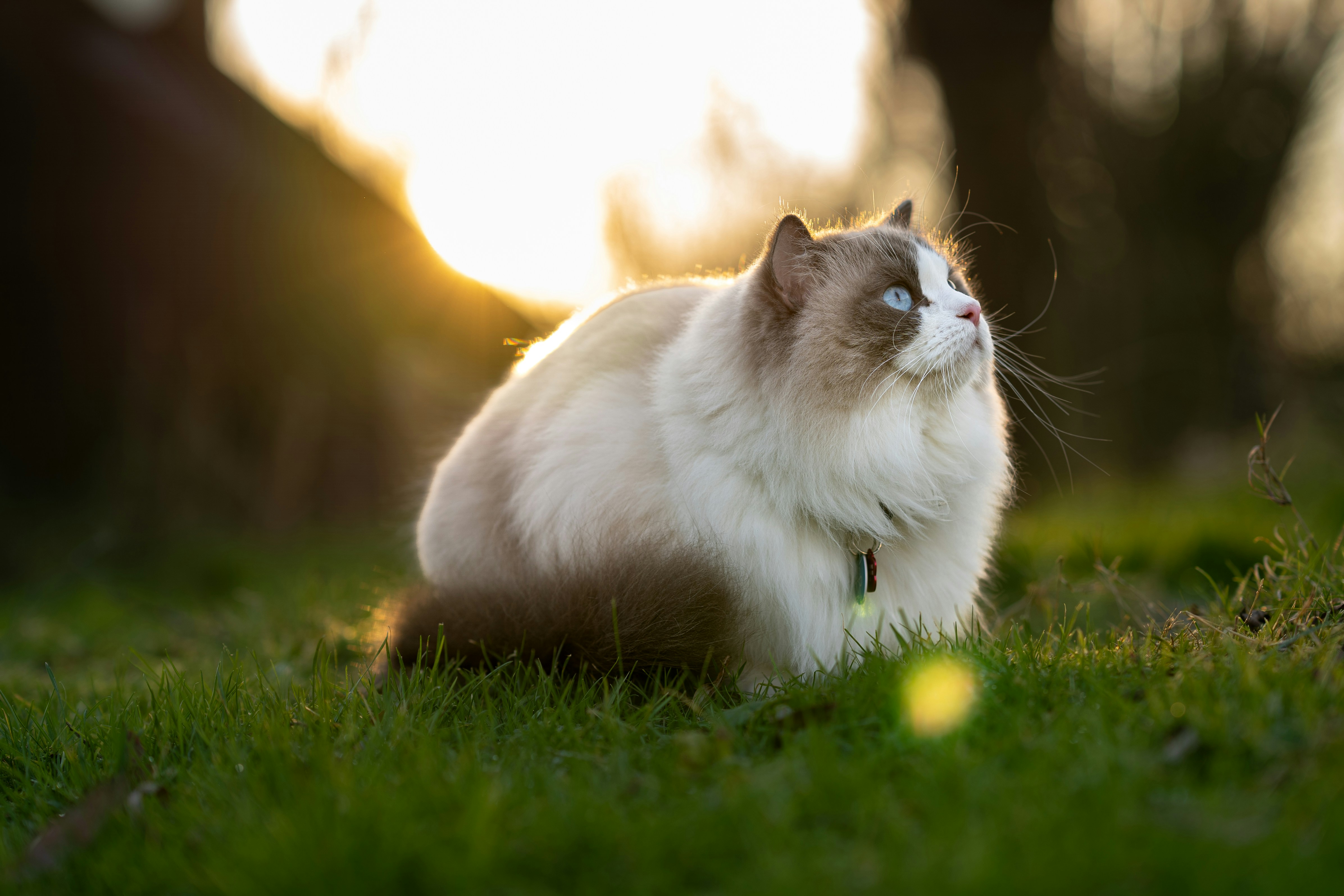 Photo by Ugur Arpaci with Sony Alpha 7 III