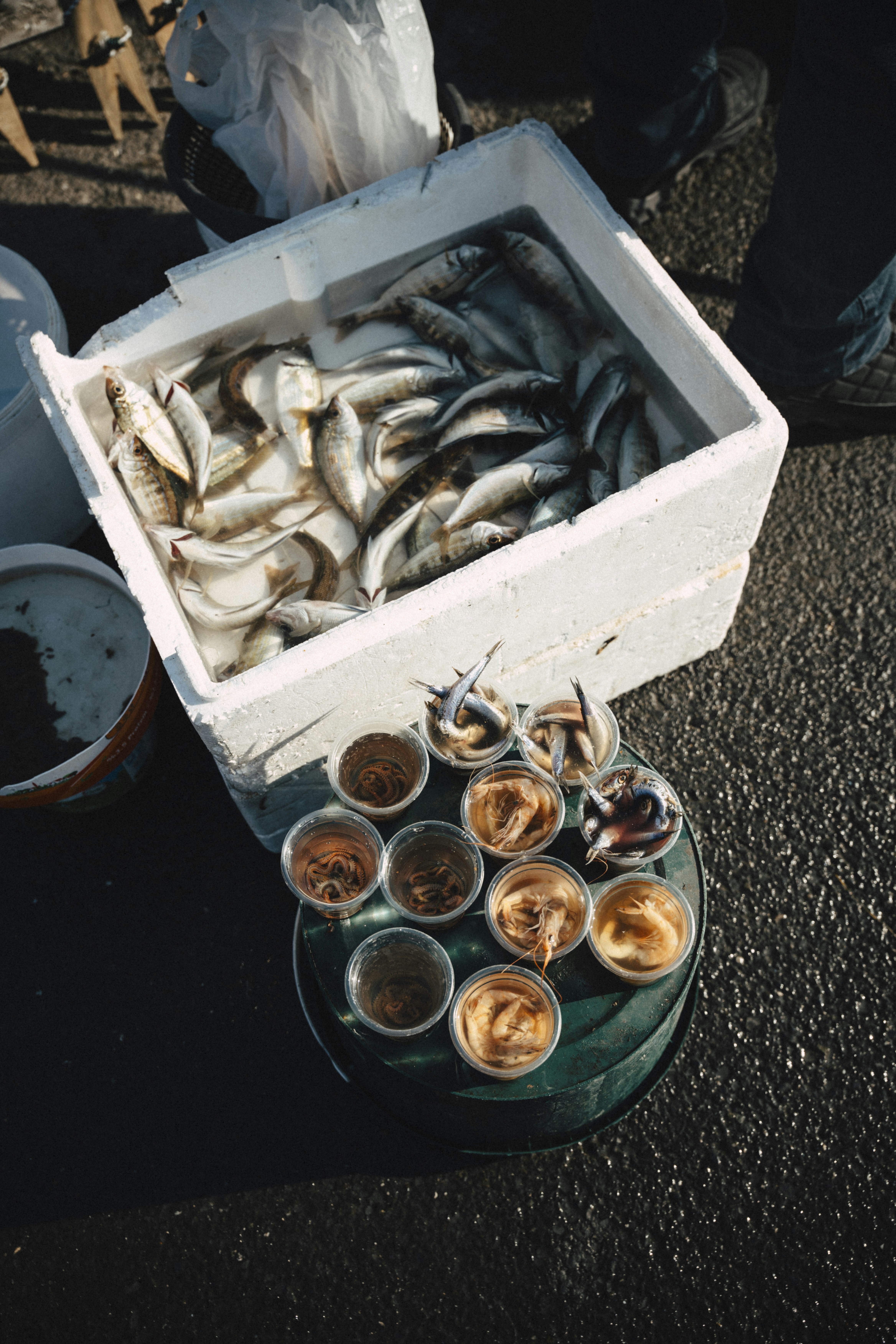 Chilled Catch on the Street: A Styrofoam Cooler Full of Fish