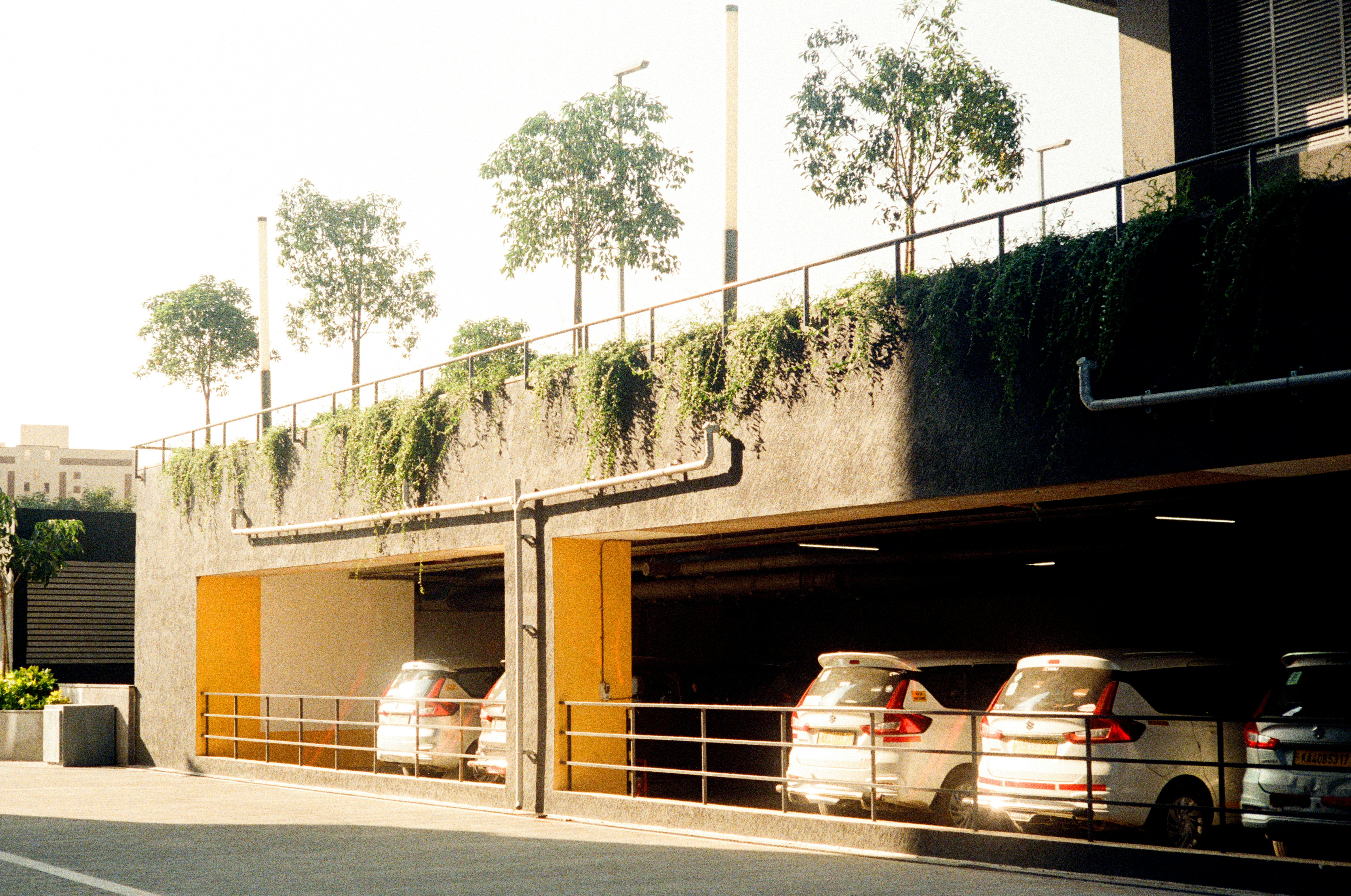 Sunlit parking garage with green foliage cascading from the rooftop garden.