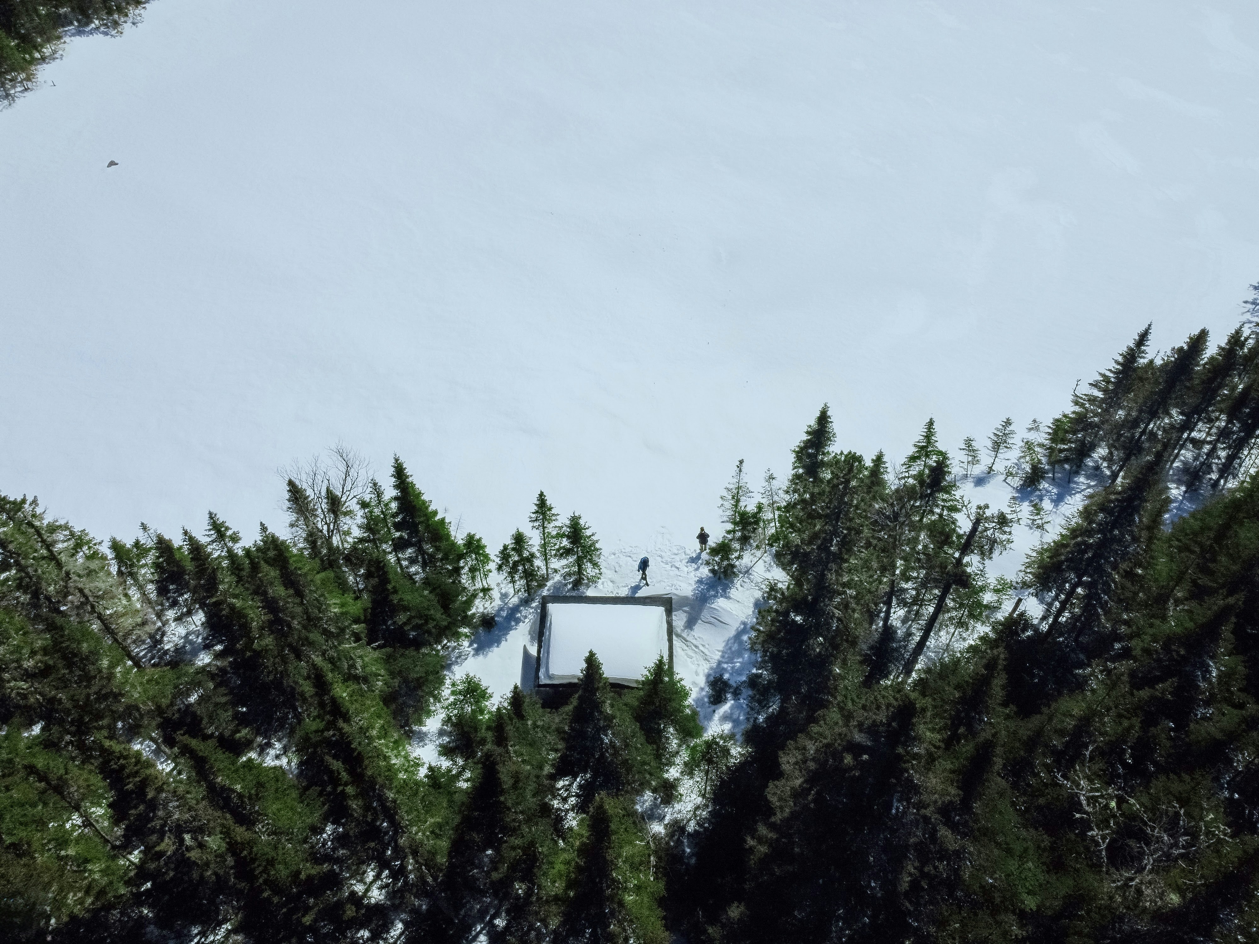 Snow-covered forest clearing with a small cabin surrounded by dense evergreens.