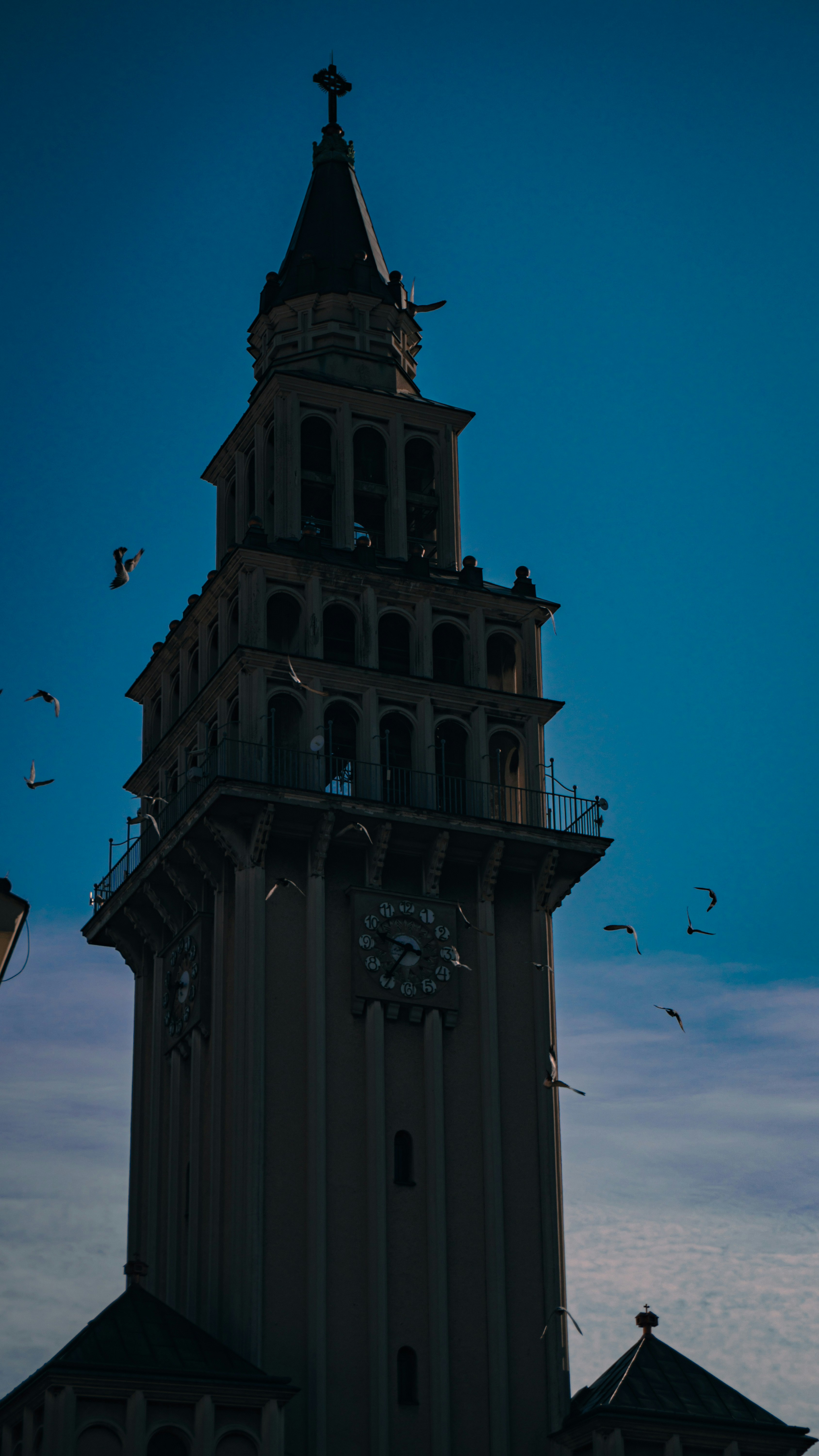 Harbor Spire: Clocktower Rising Against a Seagull-Scattered Sky