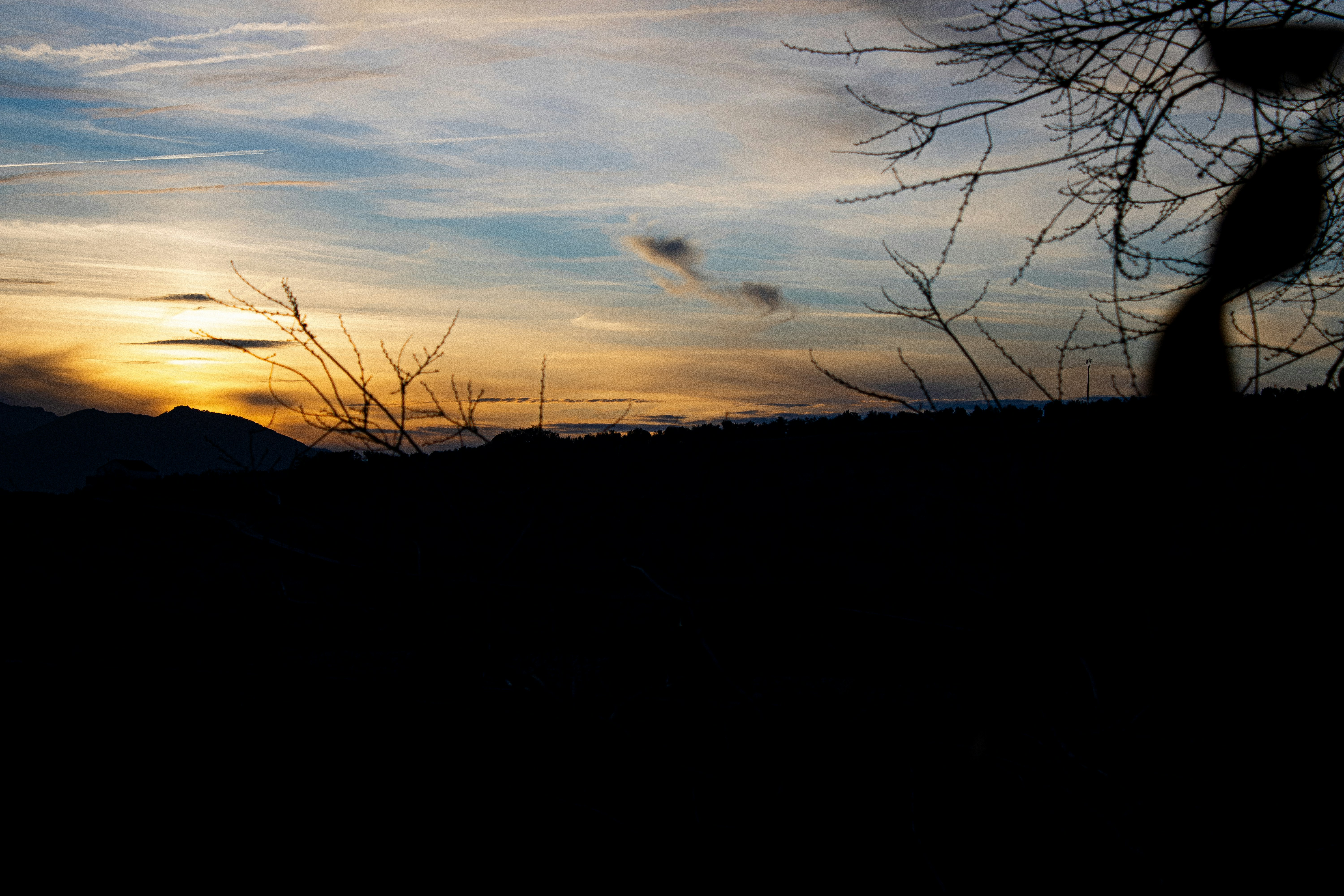Silhouette of tree branches against a vibrant sunset sky with streaks of clouds.