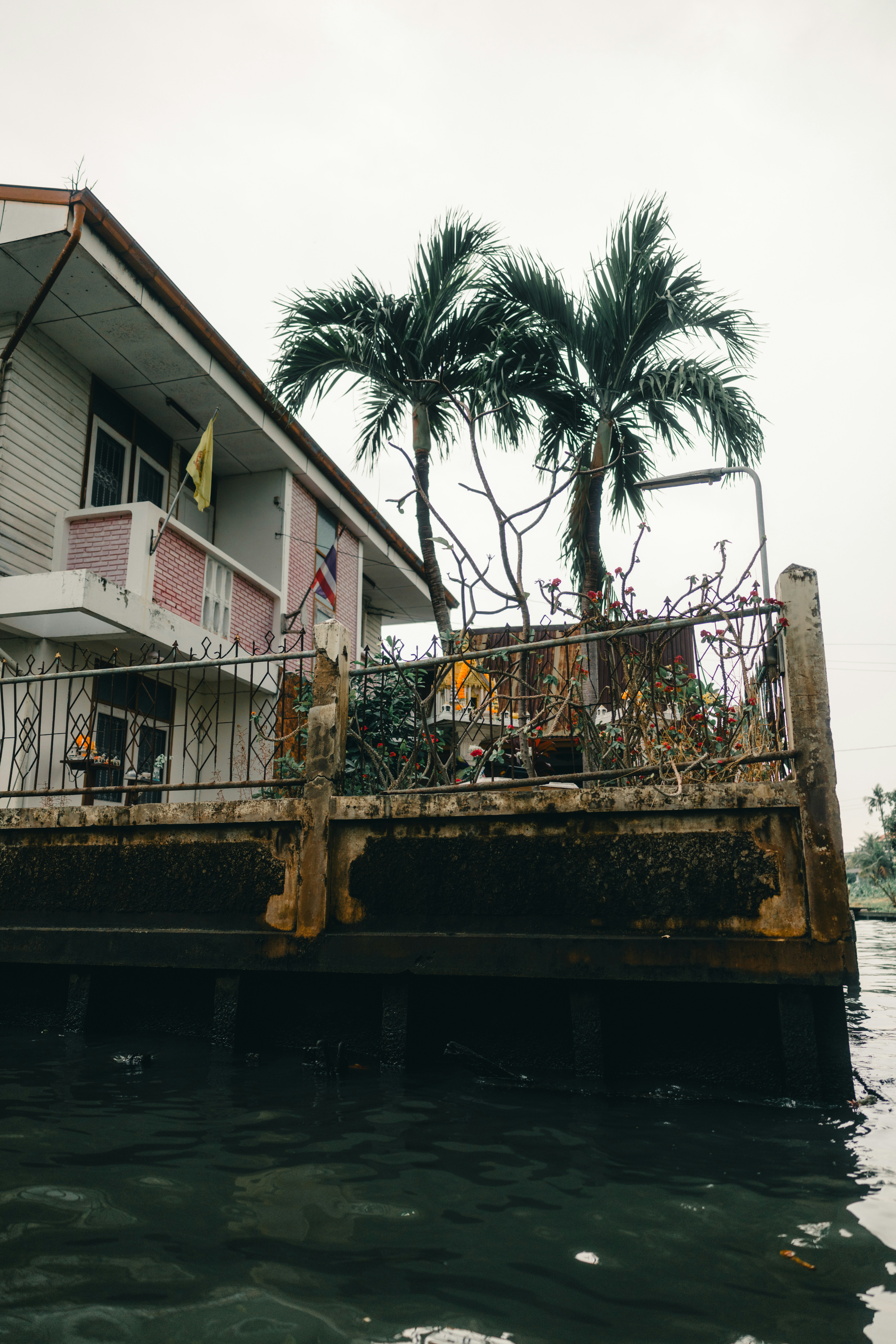Riverside Villa on Stilts: Palm Canopy and Weathered Railings Over Calm Waters