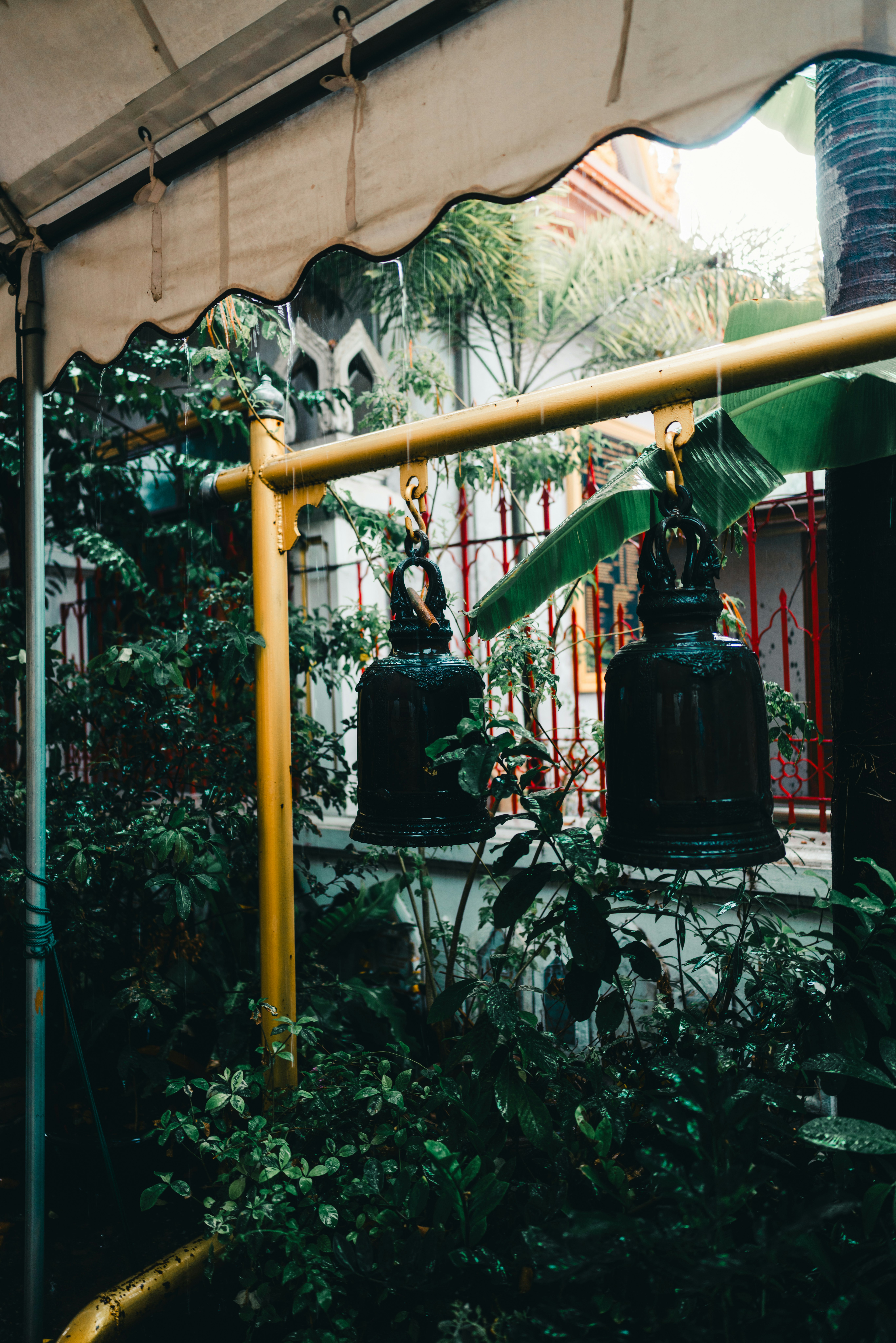 Hanging Bells, Lush Courtyard: A Quiet Moment Under Yellow Framework