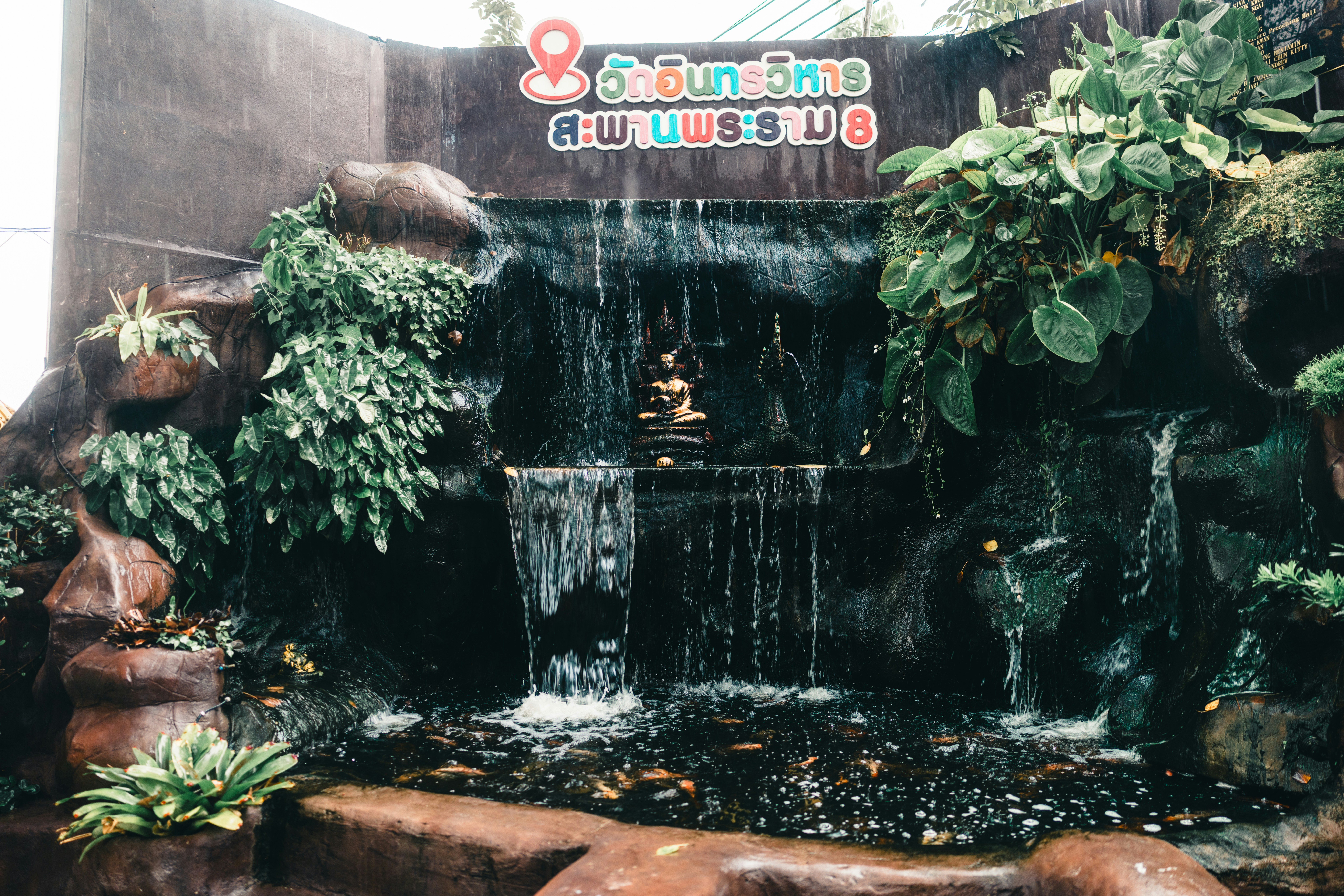 Temple Cascade: A Tiny Shrine Framed by Tropical Greens