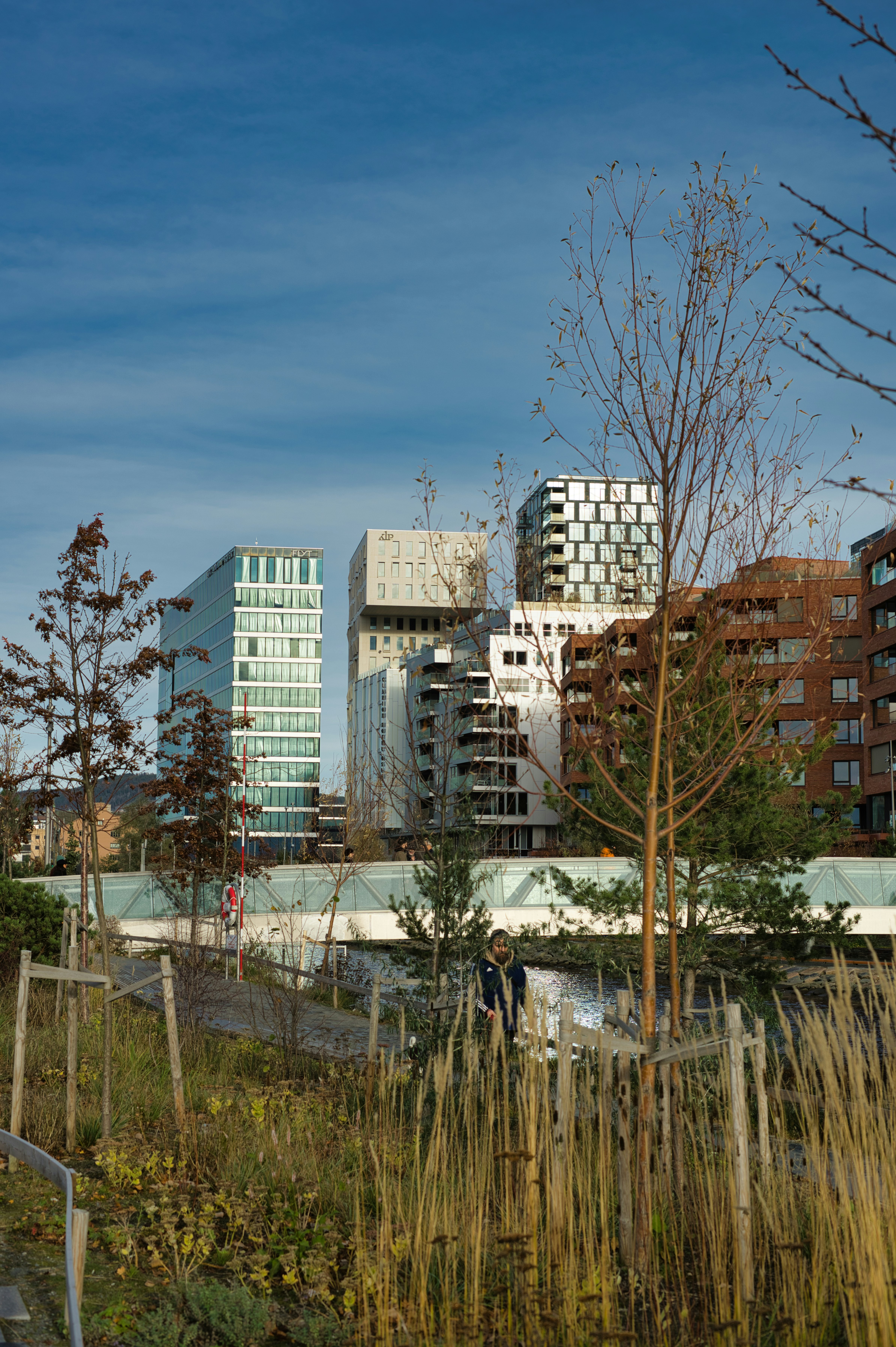 Photo by Gunnar Ridderström with Sony Alpha 7R