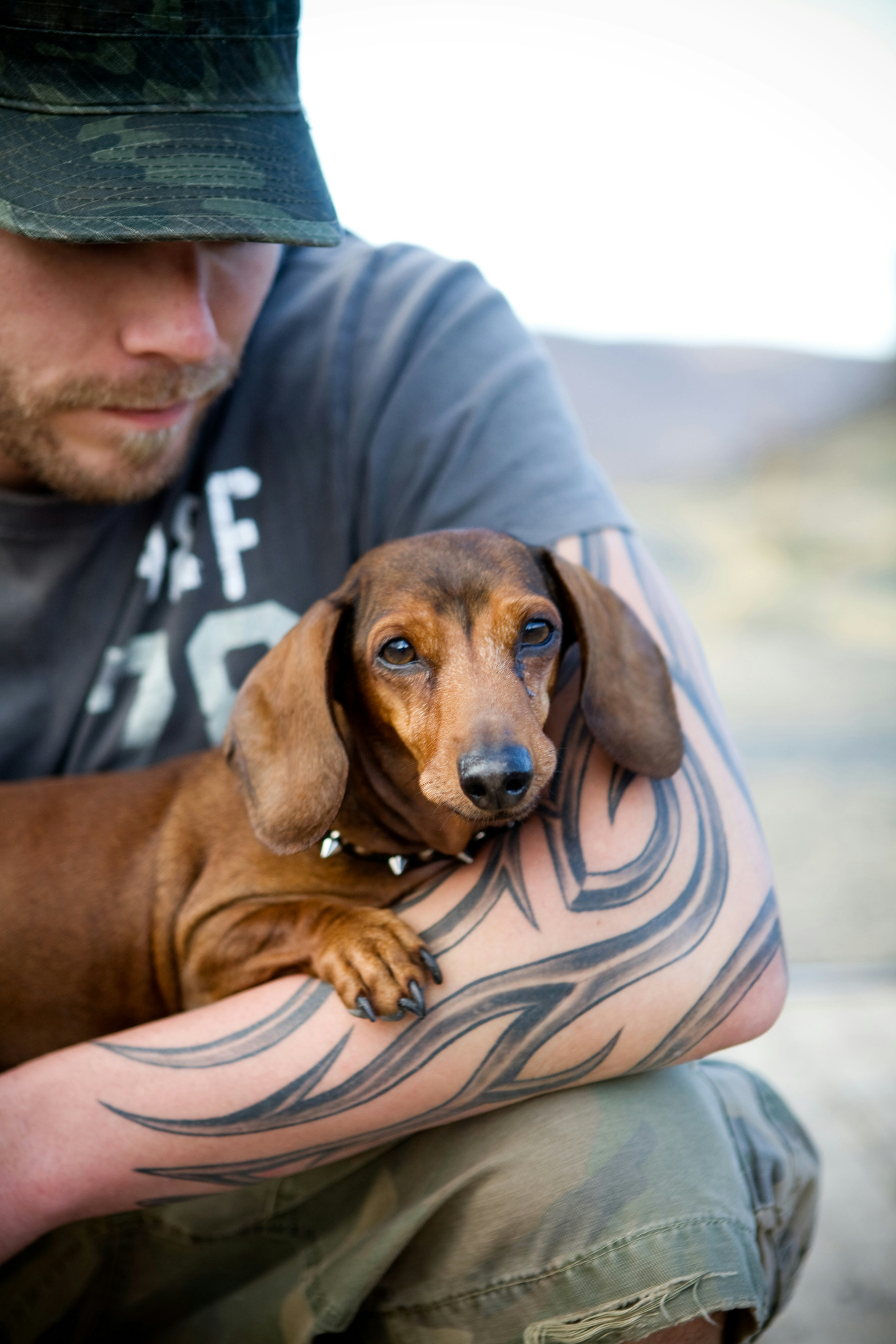 Tethered Trust: A Man and His Dachshund in a Quiet Moment