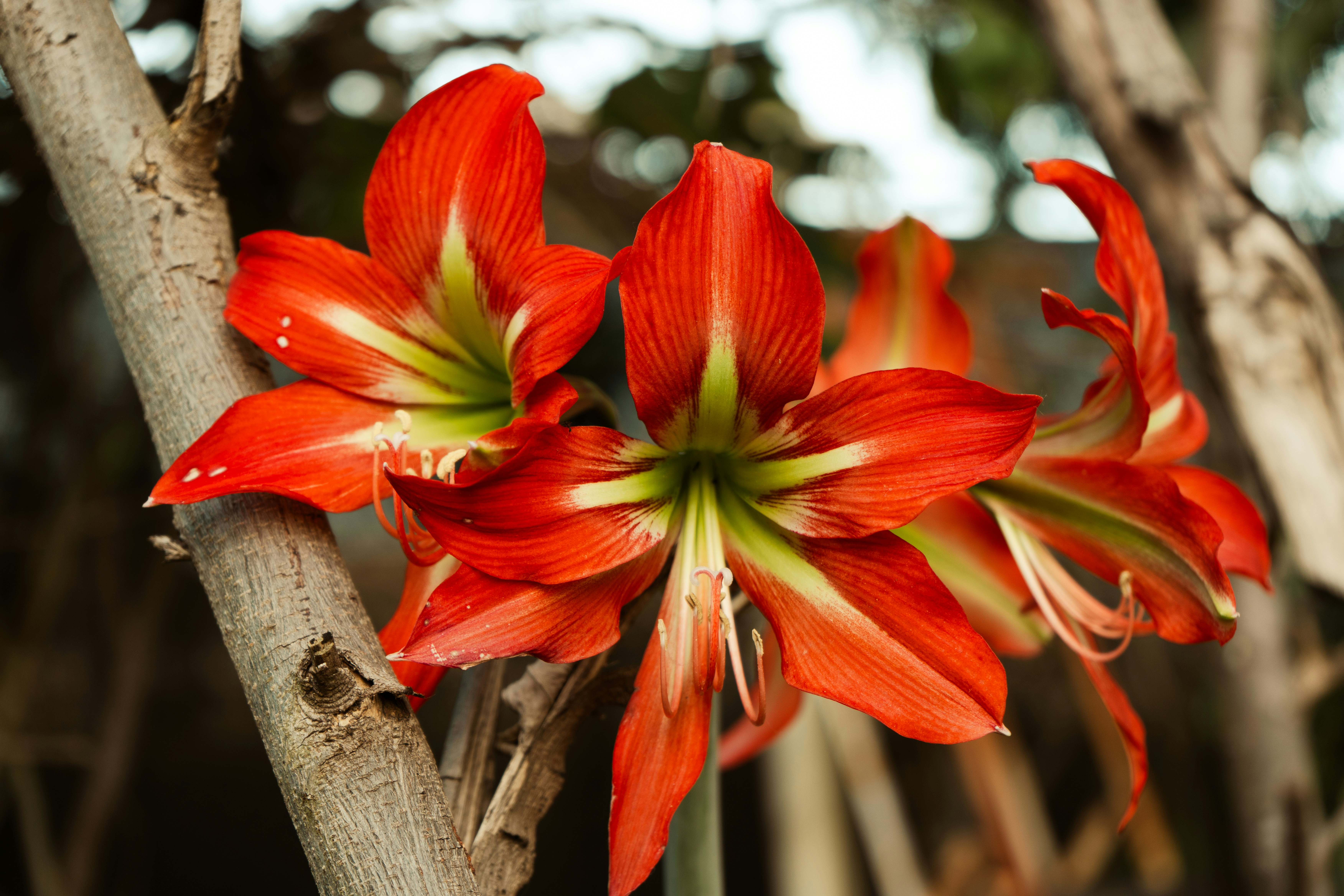 Photo by Jacinto Diego with Sony Alpha 7 IV