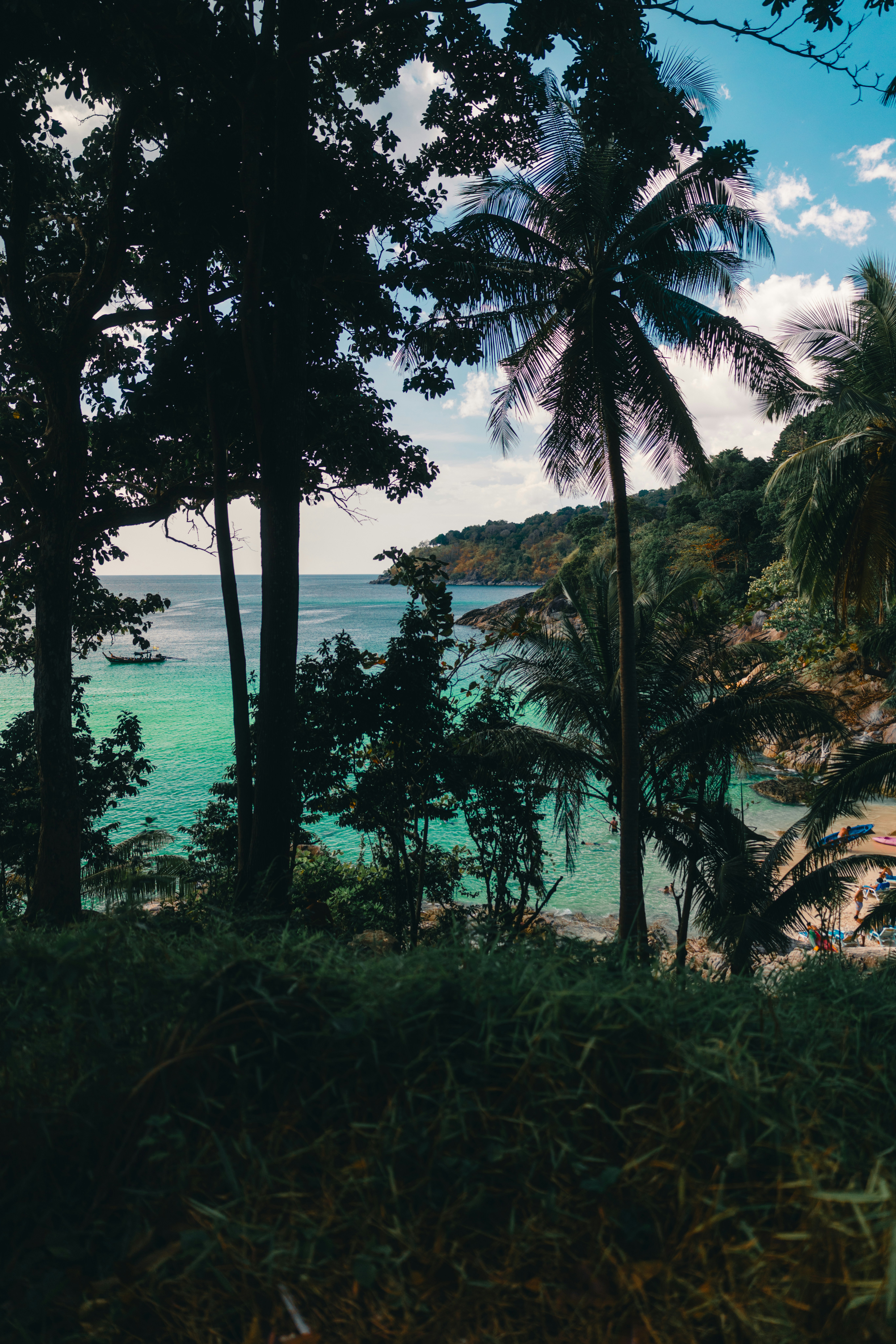 Tropical beach view through lush greenery. photo – Free Forest Image on ...