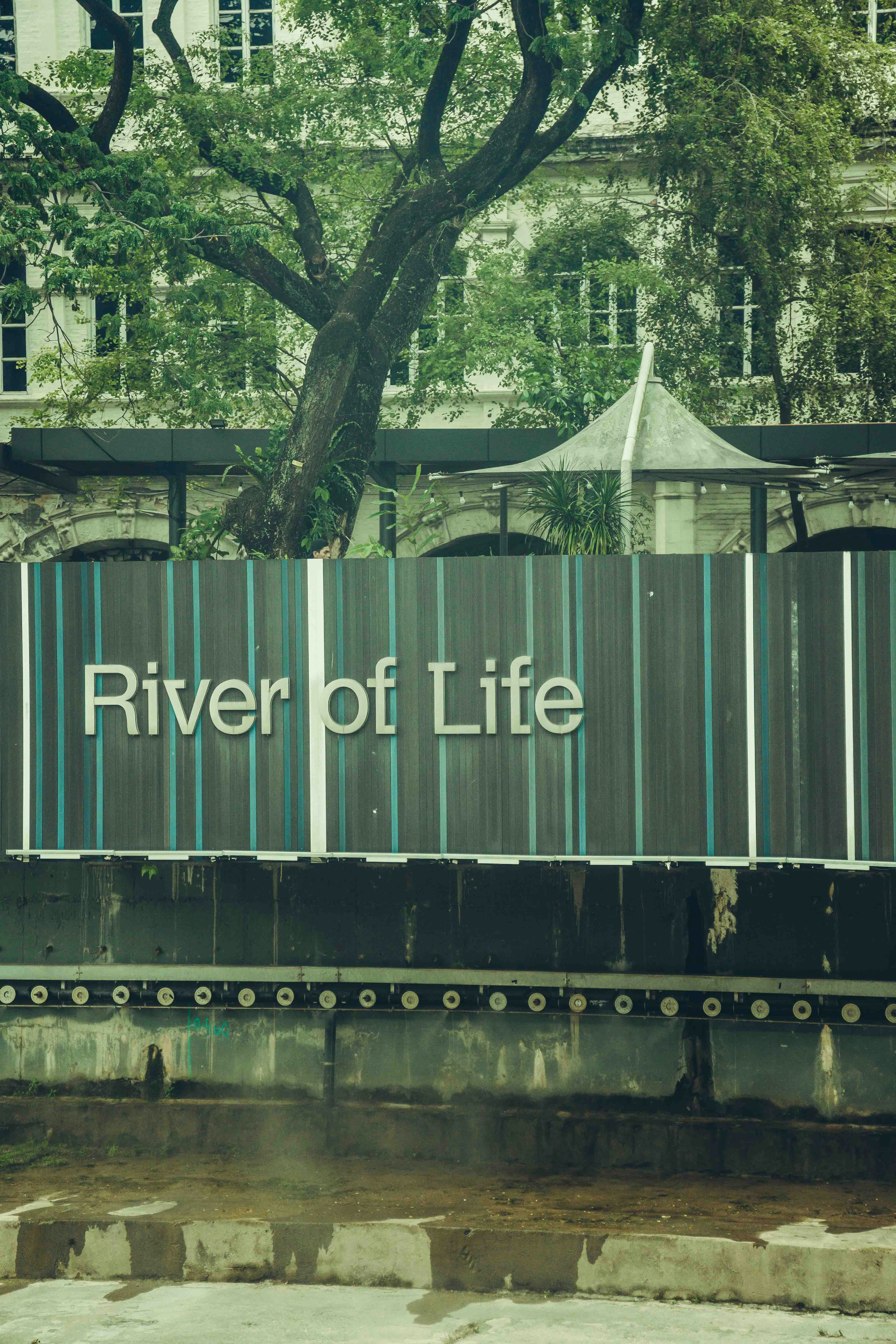 Photo by Khanh Nguyen with Sony Alpha 6400