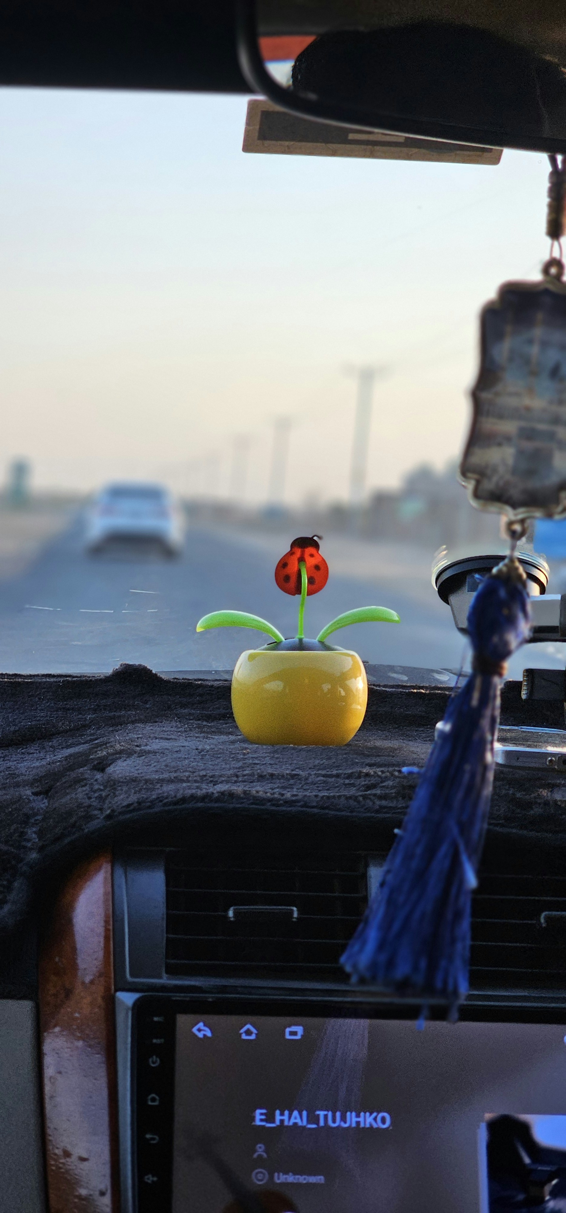 Inside car accessories