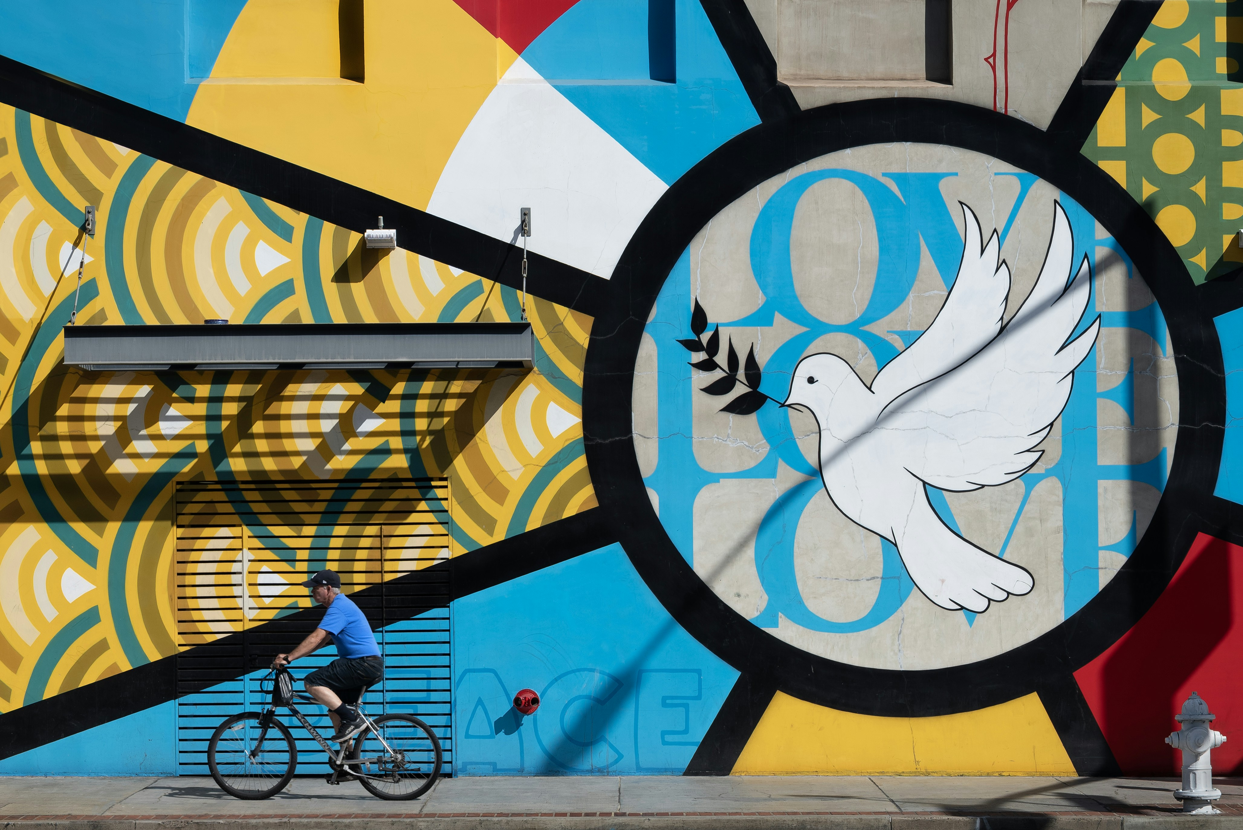 Harmony in Motion: Cycling Past Urban Art