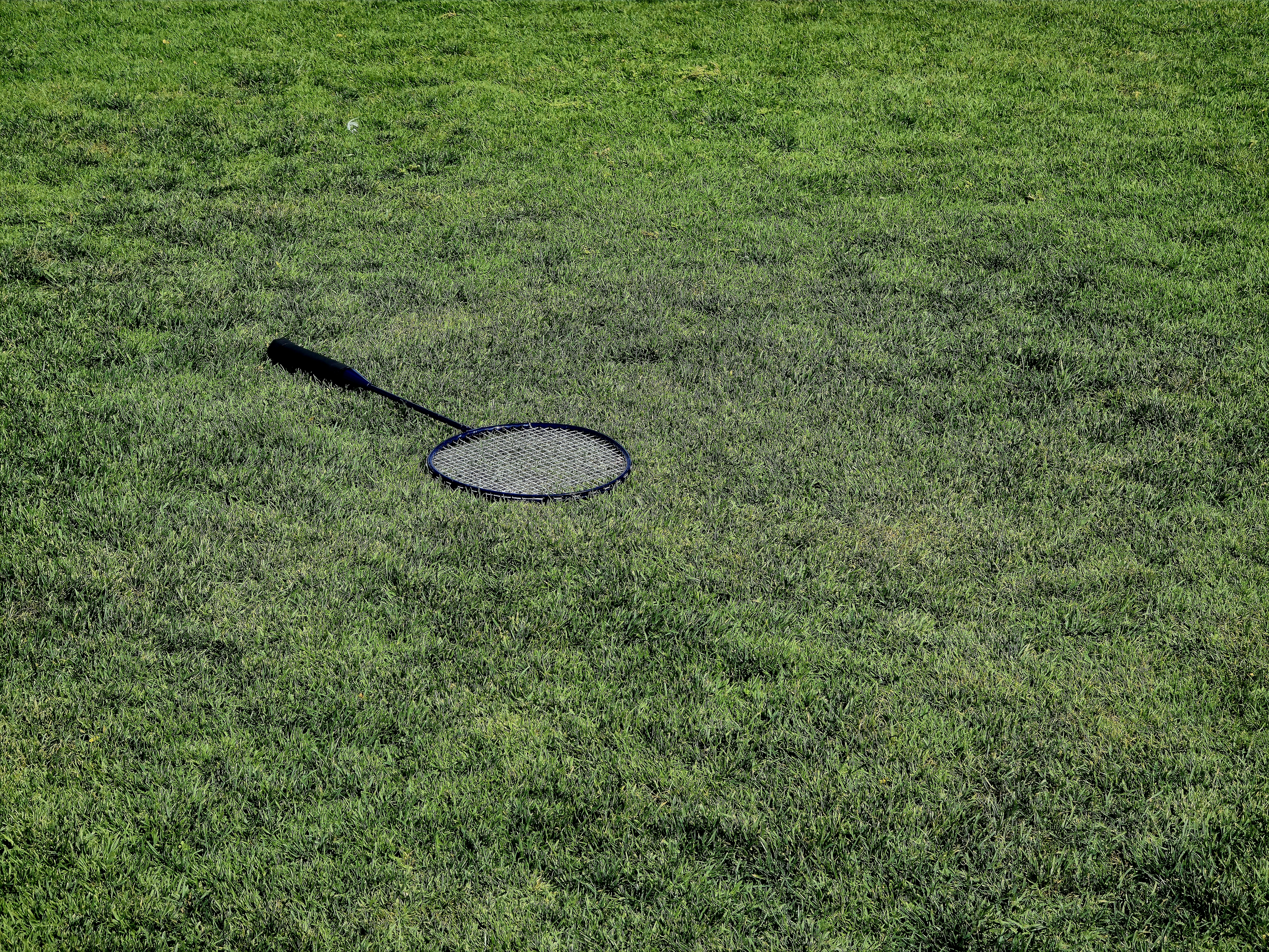 The Quiet Disk: A Manhole Hidden in the Lawn