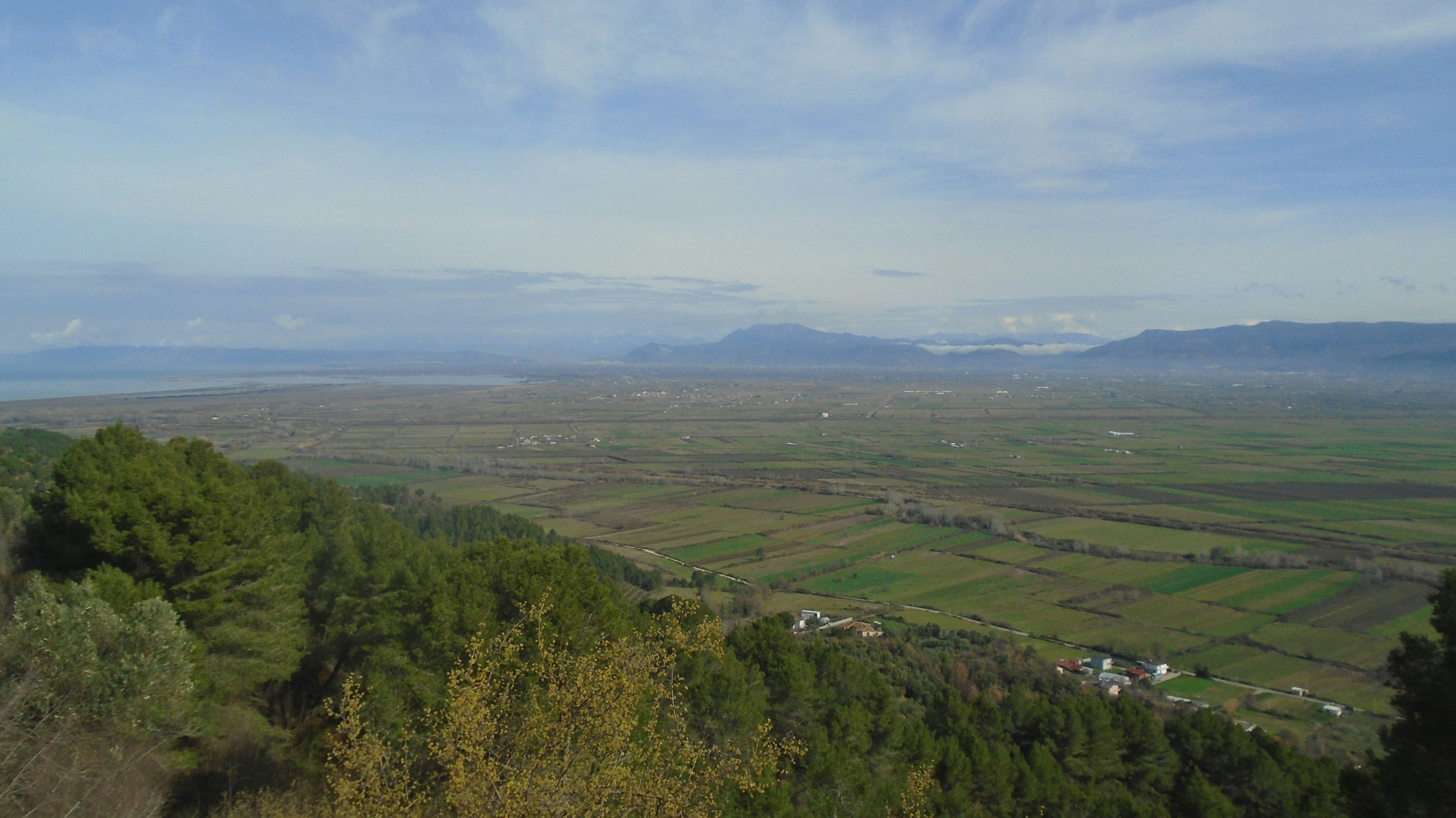 Expansive landscape revealing lush fields and distant mountains under a serene sky. The scene captures the harmonious blend of nature and agriculture.