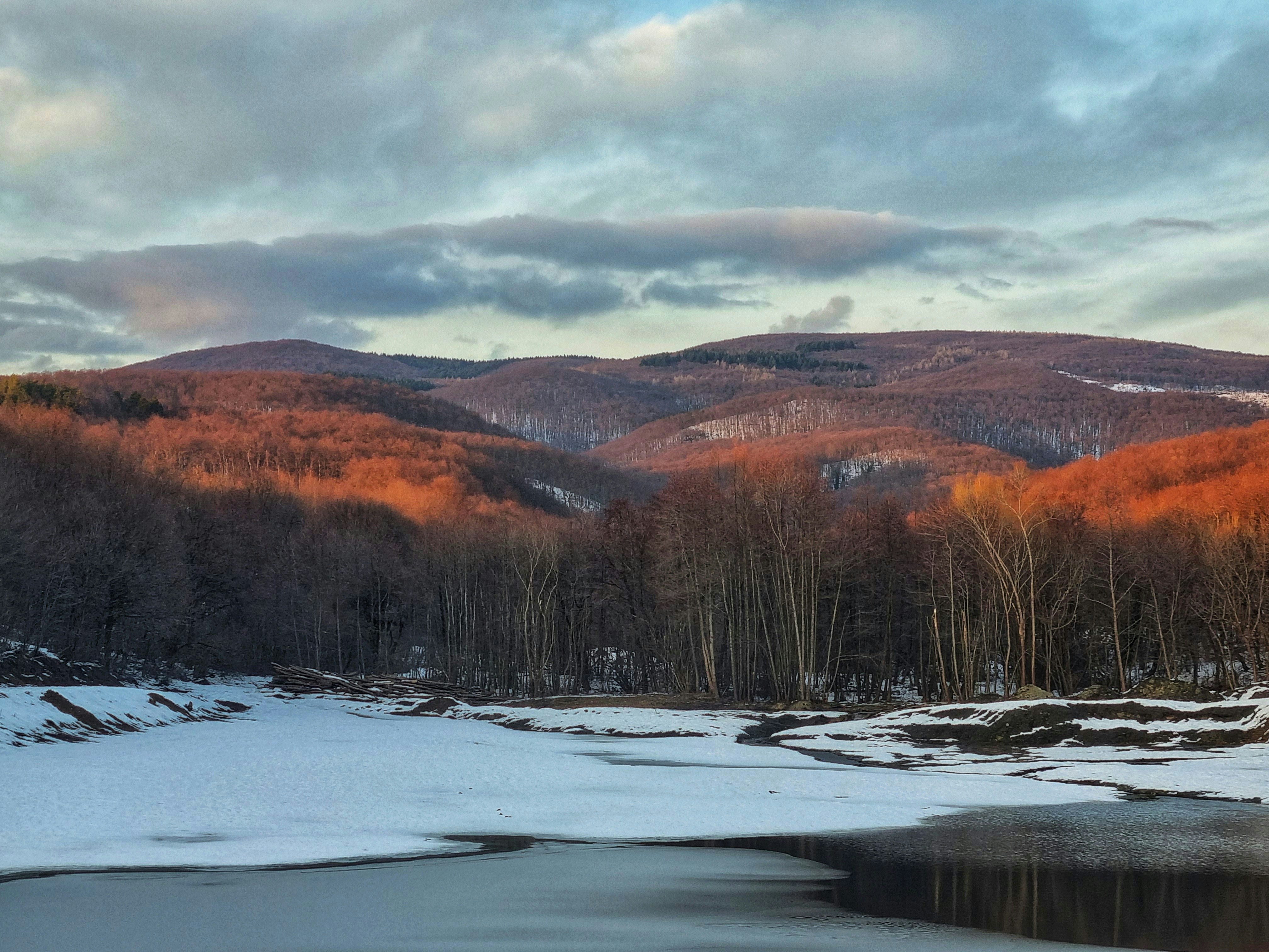 Snow-covered landscape with barren trees, illuminated by warm light over distant hills under a cloudy sky.