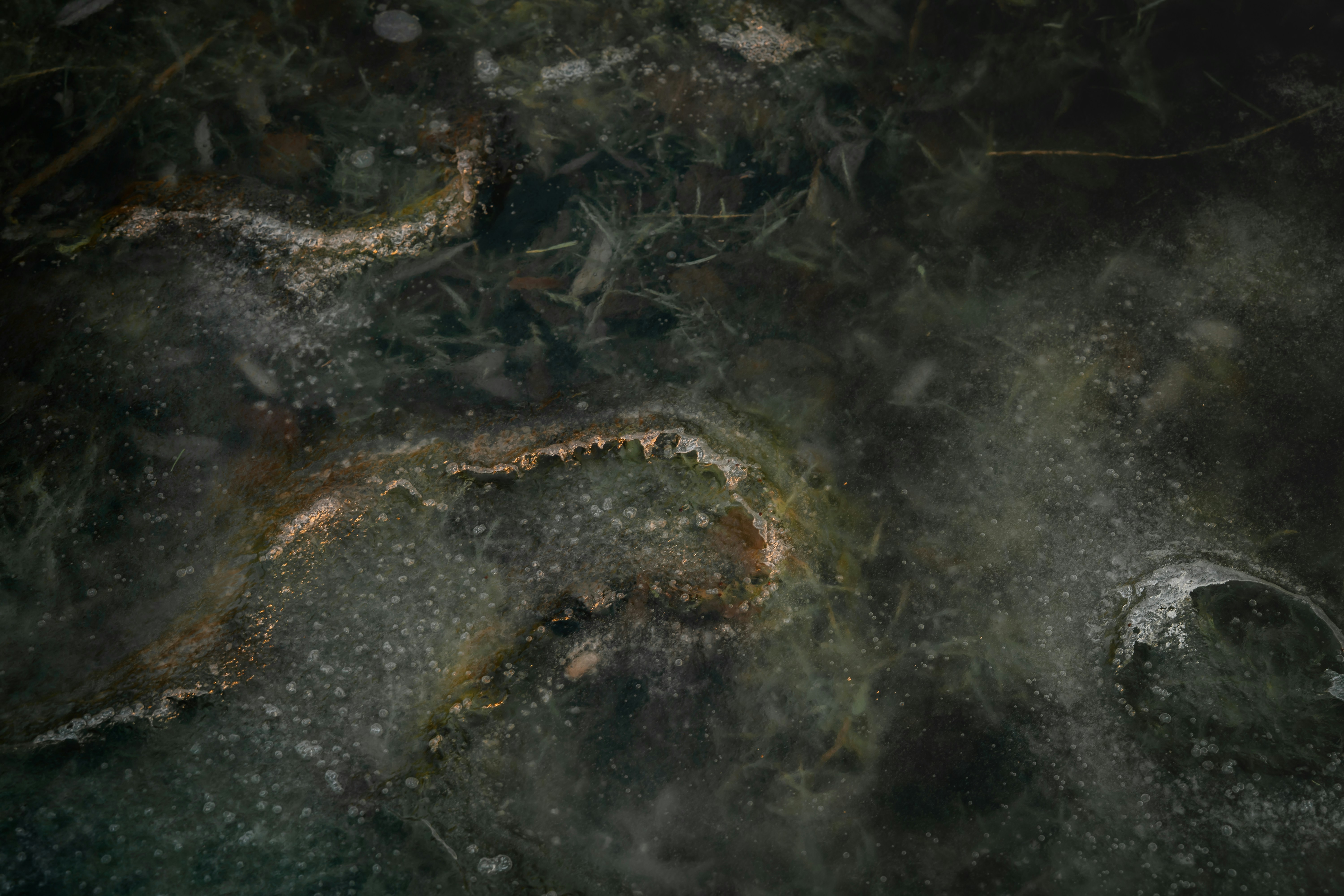 Veins in the Mist: a close-up of a weathered mineral surface