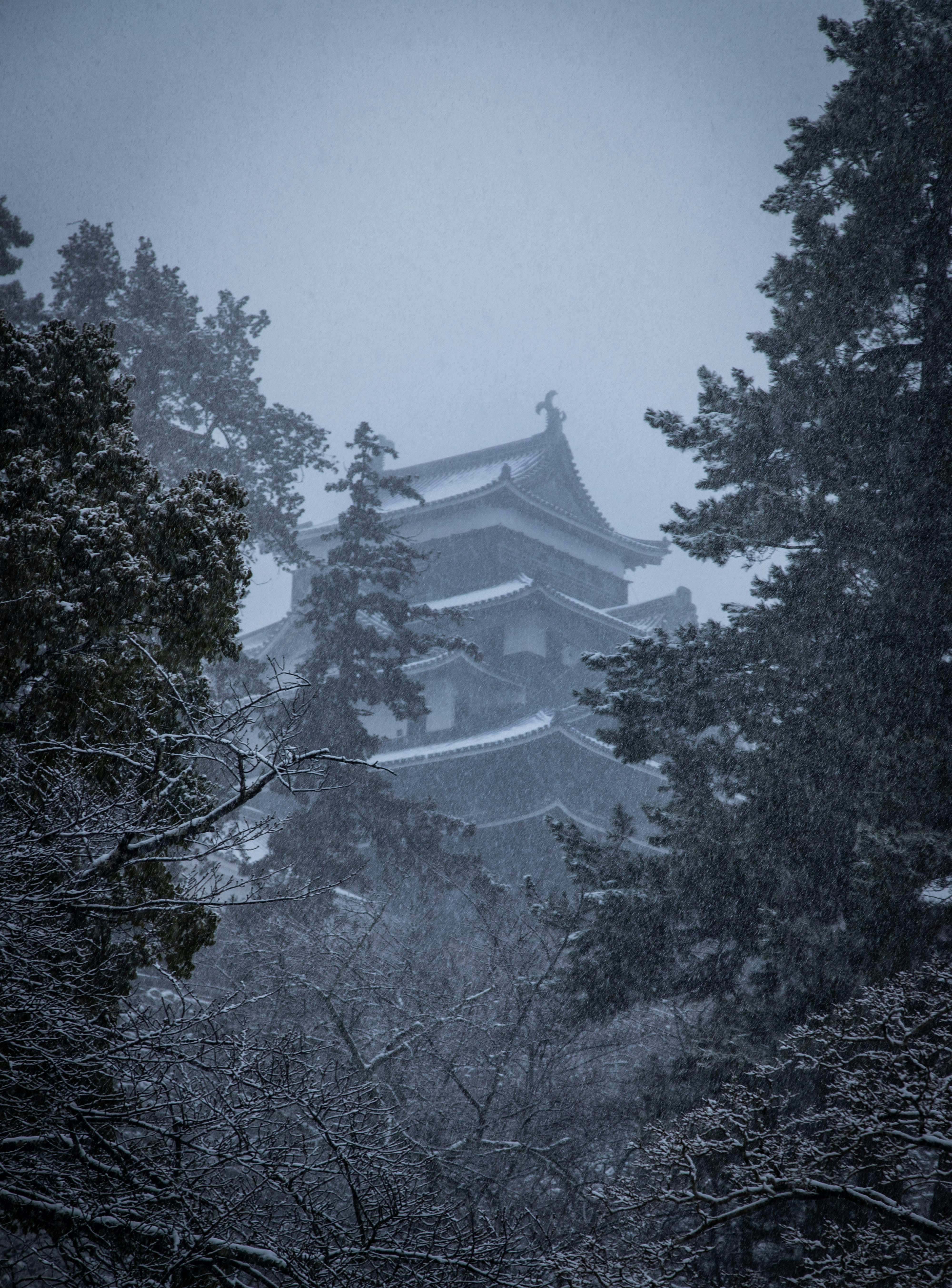 Snowy japanese castle peeking through the trees. photo – Free Building ...