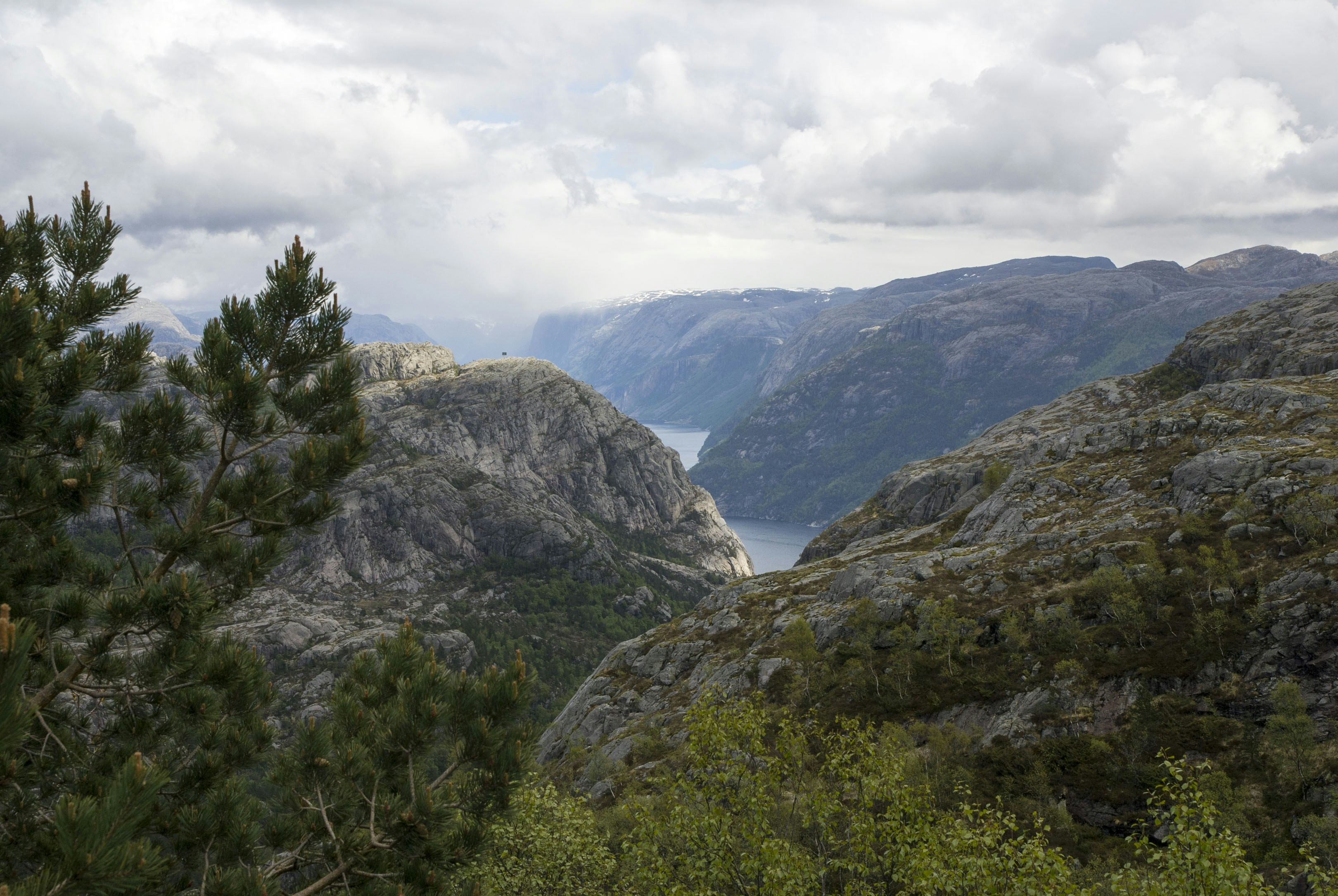 Overcast sky blankets a fjord nestled between rugged cliffs and green foliage.