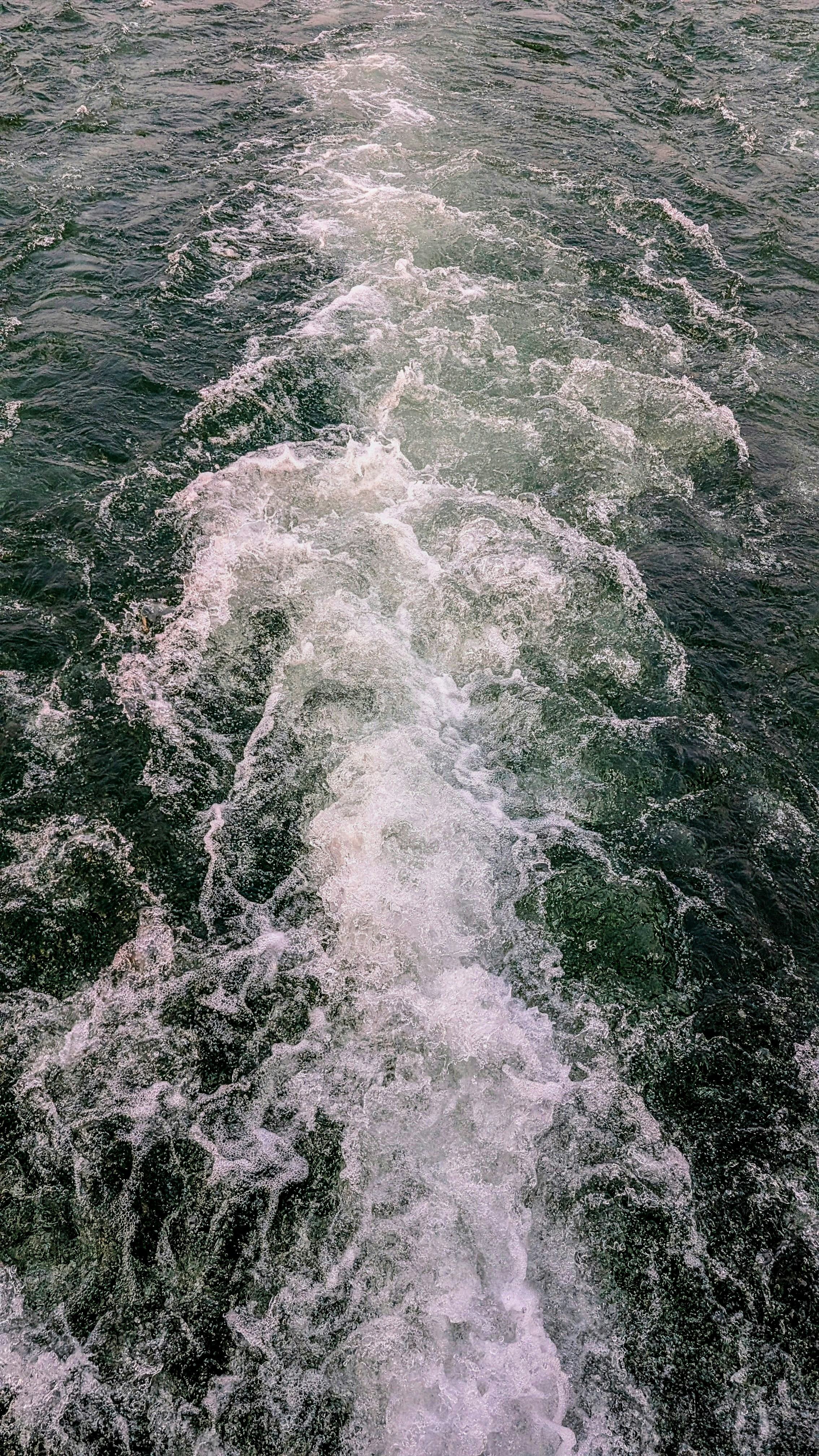 Foamy wake trailing behind a boat, showcasing the dynamic movement of water. The interplay of light and shadow creates a mesmerizing texture on the surface.