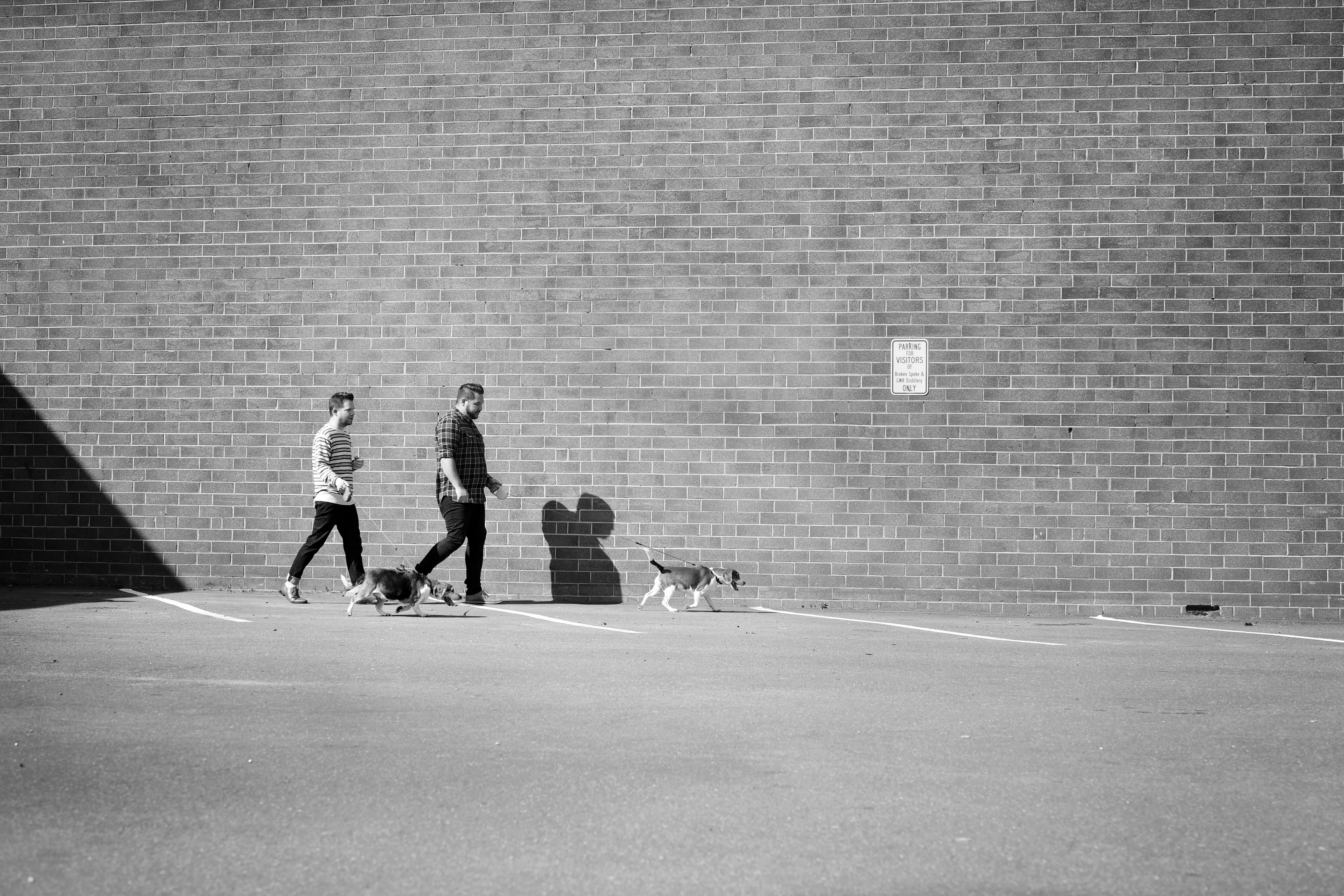 Pedestrians and a Dog Parade Along a Brick Wall