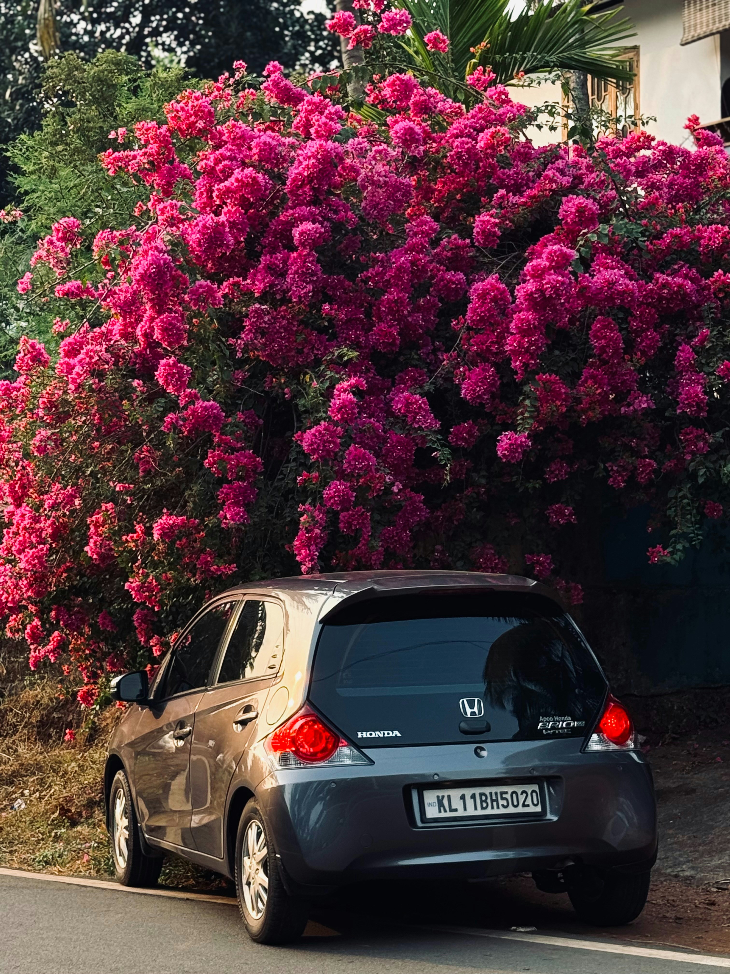 Photo by Varun Kumar e.k with Apple iPhone 15 Pro