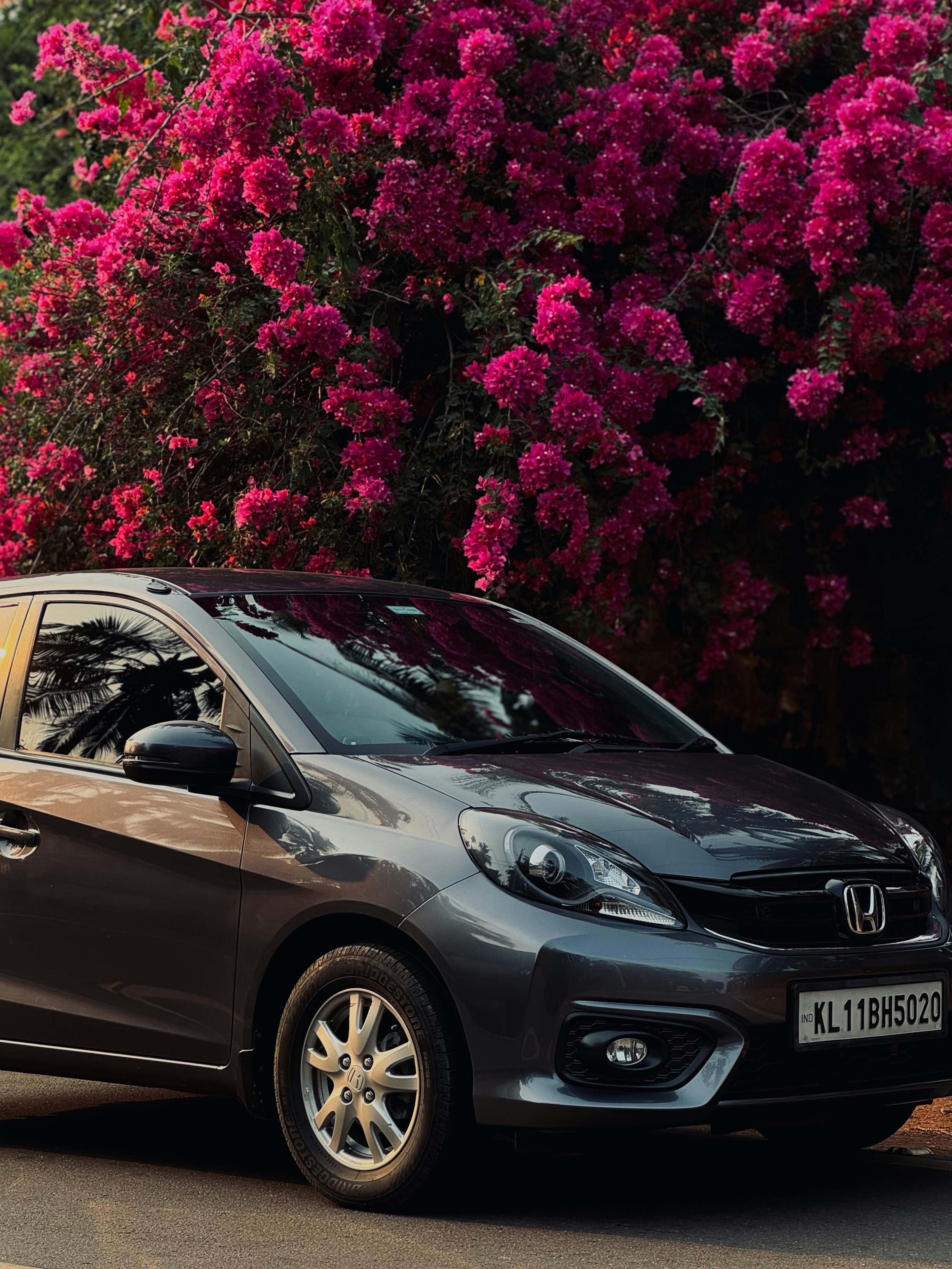 Chrome Meets Bougainvillea: A Honda Against a Pink Floral Backdrop
