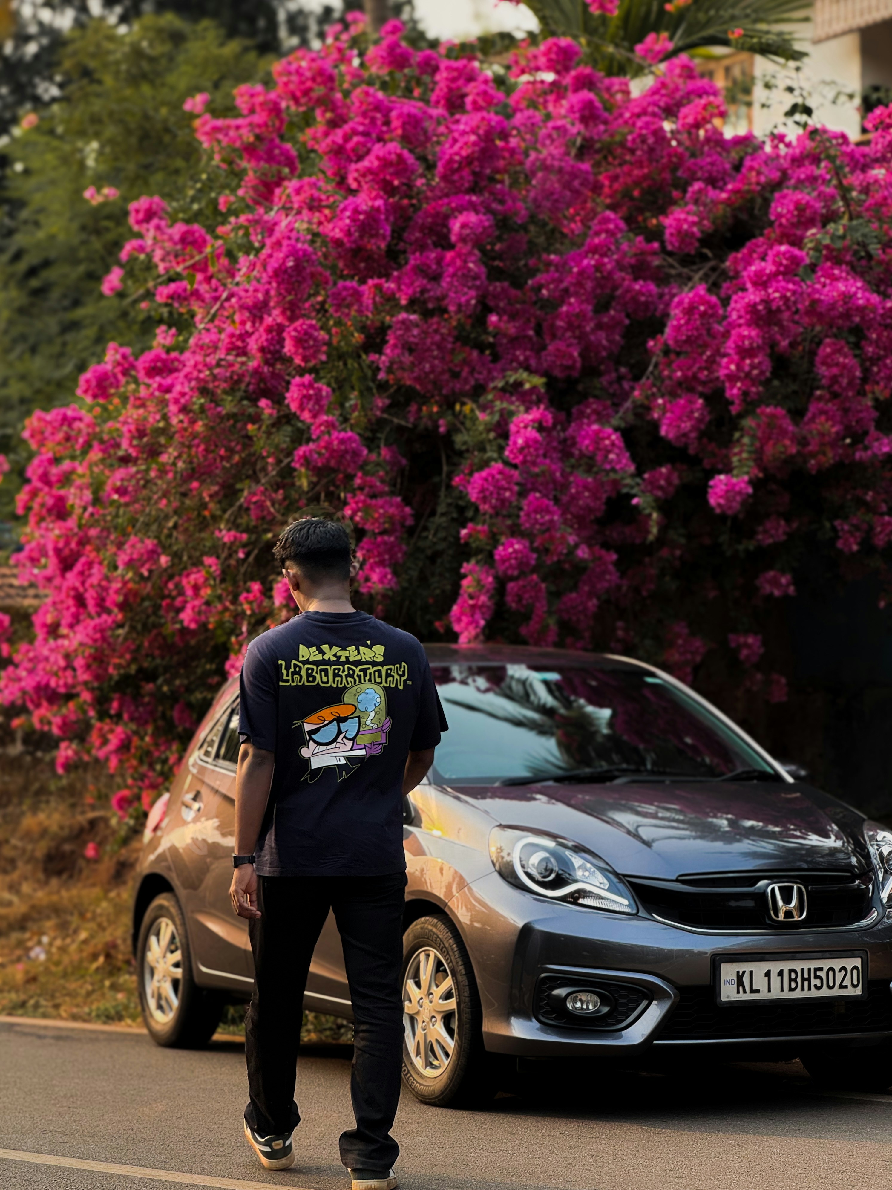 A Quiet Stroll Before the Bougainvillea Bloom