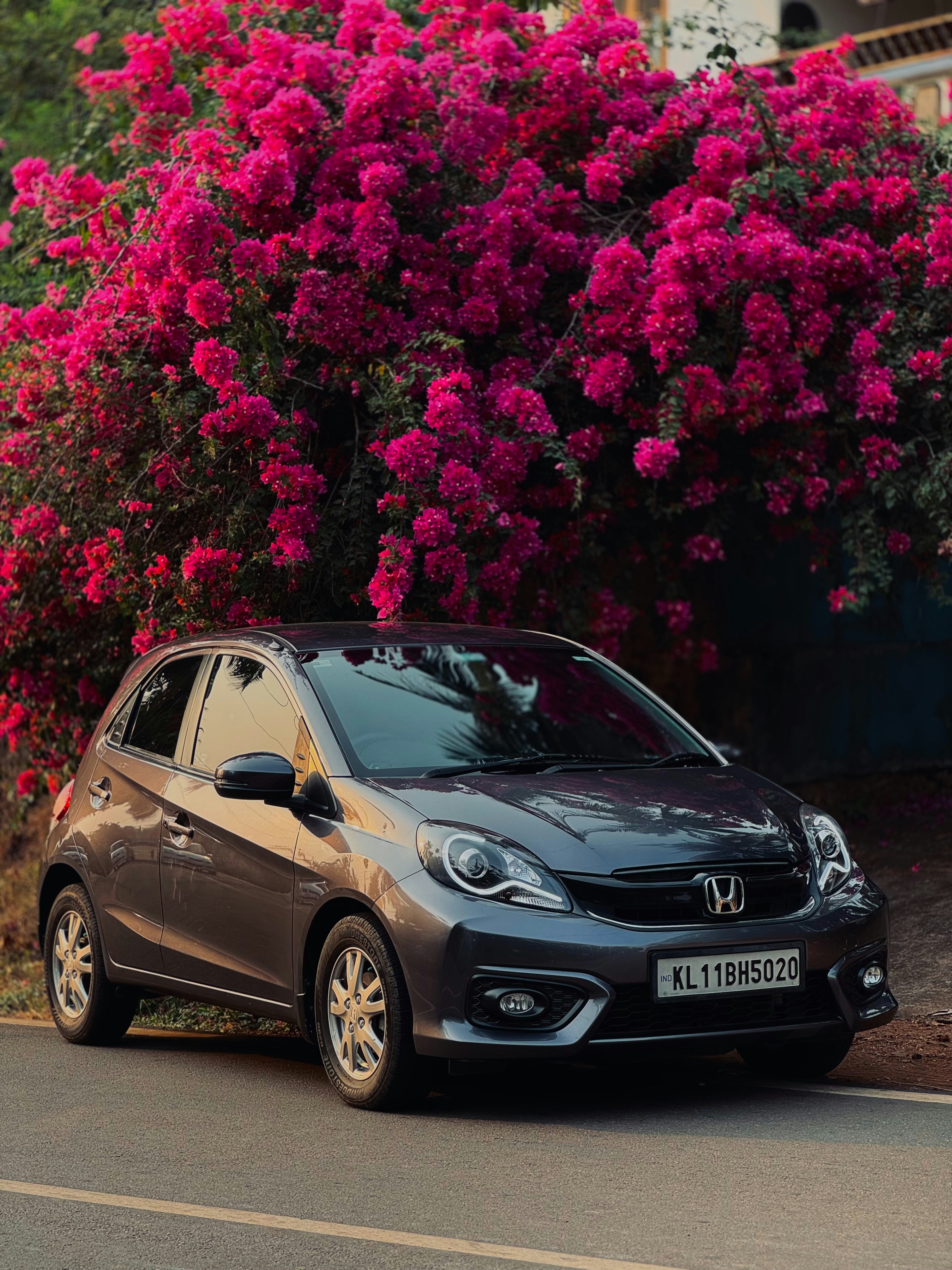 Bronze Hatchback Under Bougainvillea in Soft Evening Light