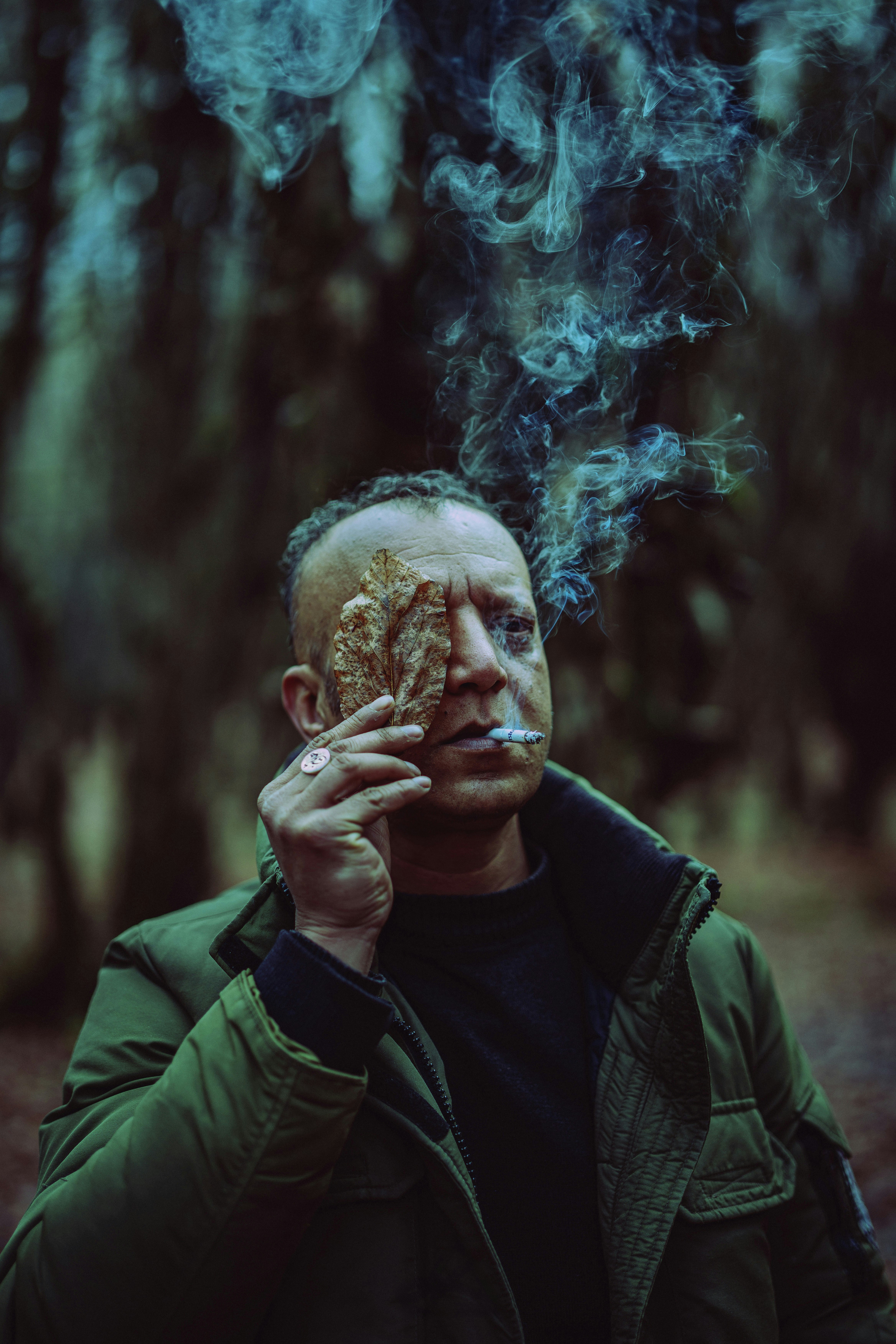 Nature's Veil: A Smoky Encounter