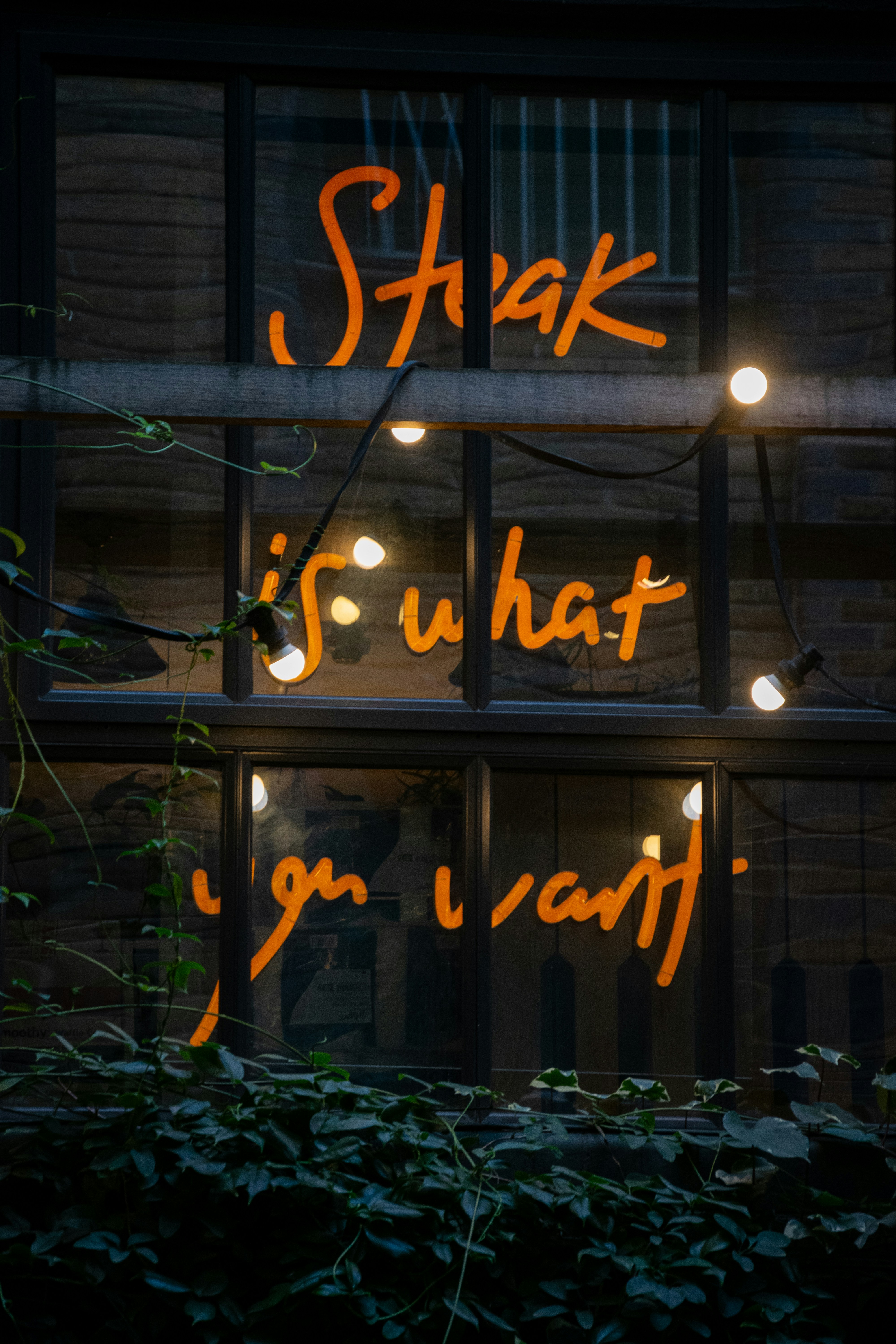 Glowing Script Across a Night Window with Ivy and Fairy Lights