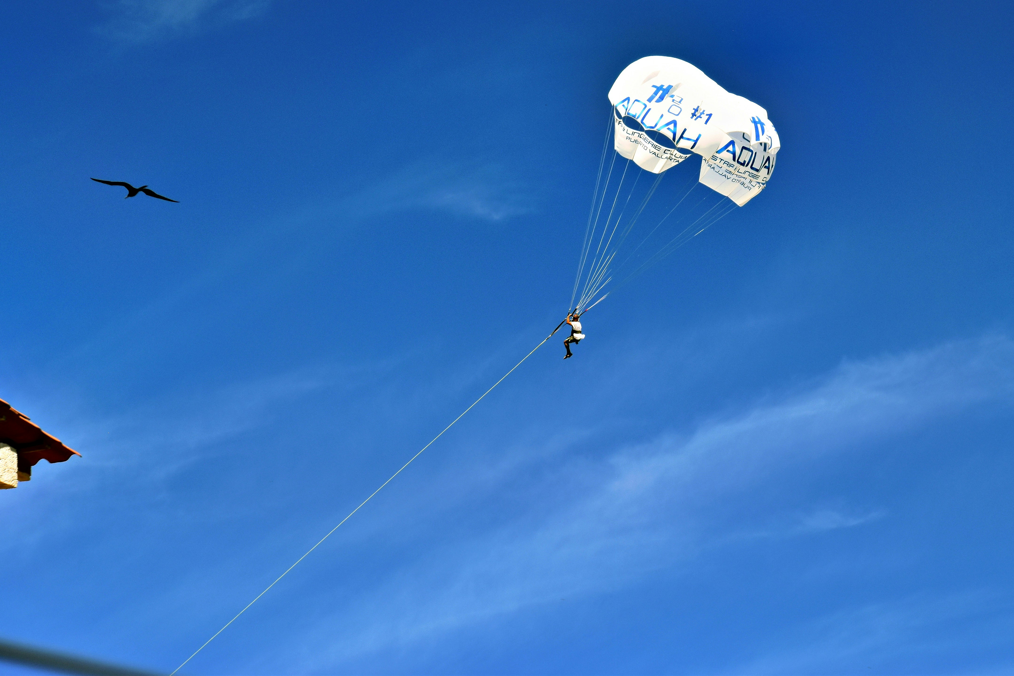 A parasailer is flying high in the blue sky. photo – Free Human Image ...