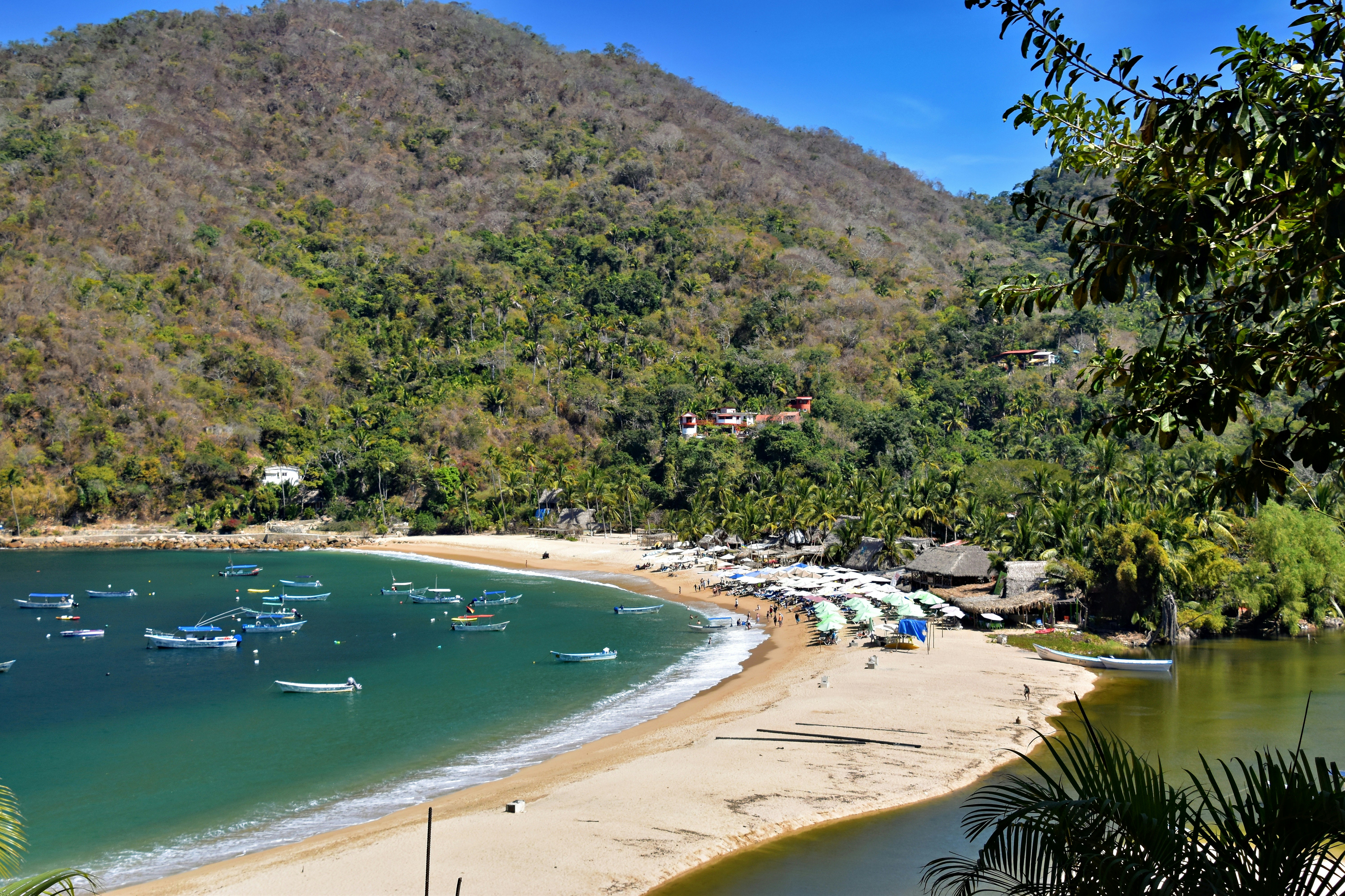 Serene Cove with Moored Boats and Verdant Hills