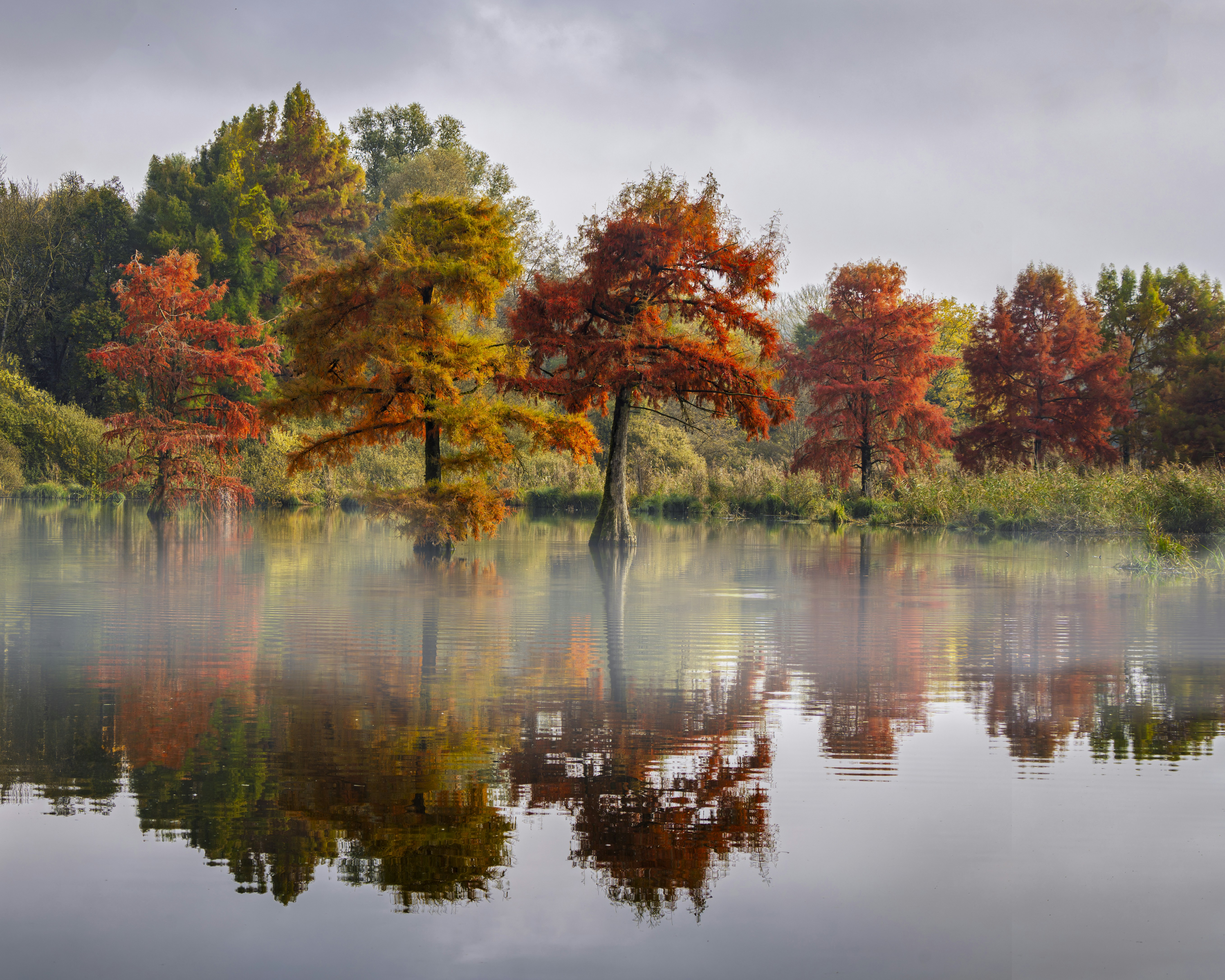 Vibrant autumn trees reflected in a mist-covered lake under a cloudy sky.