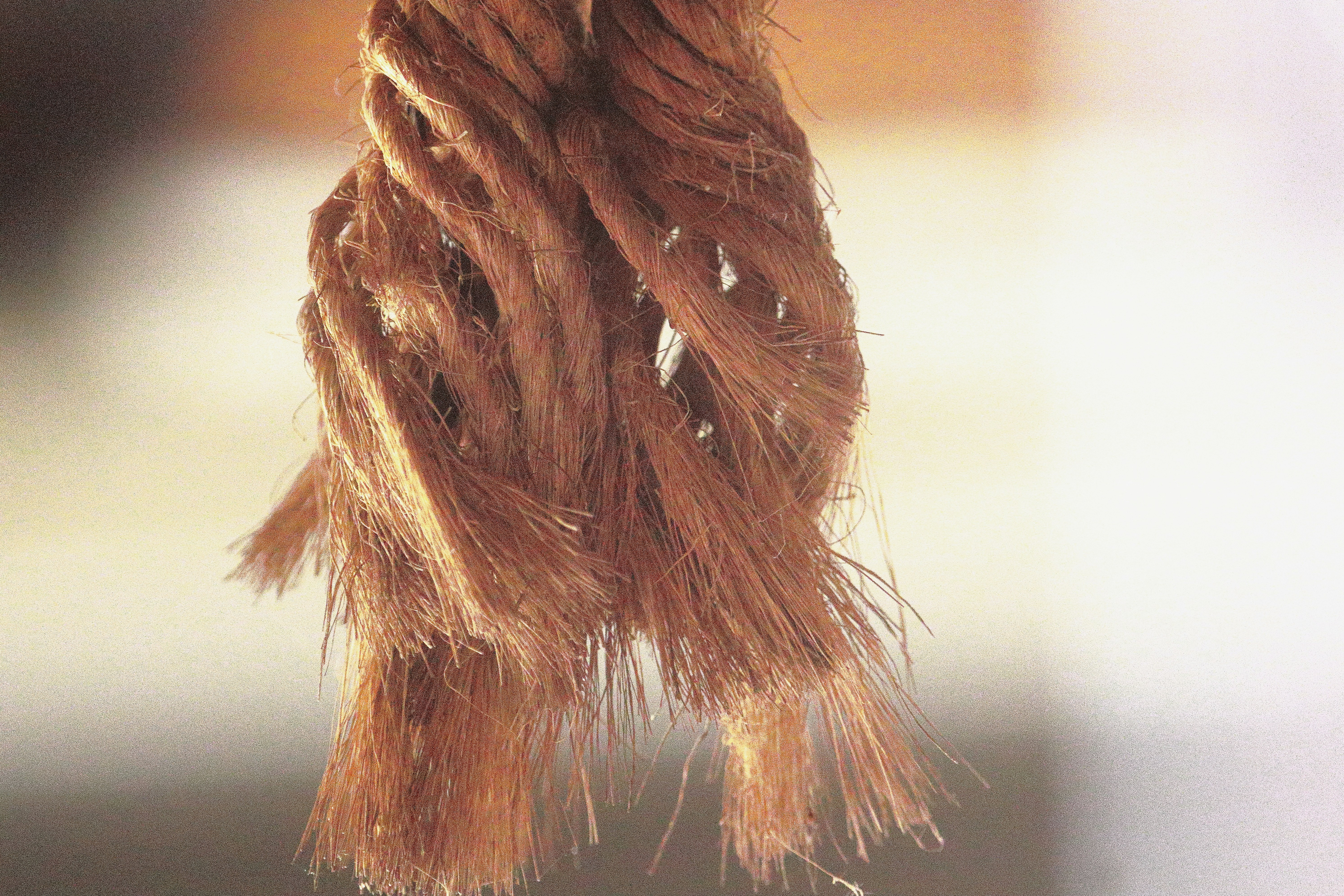 A close-up of frayed rope and a knot. photo – Free Woman Image on Unsplash