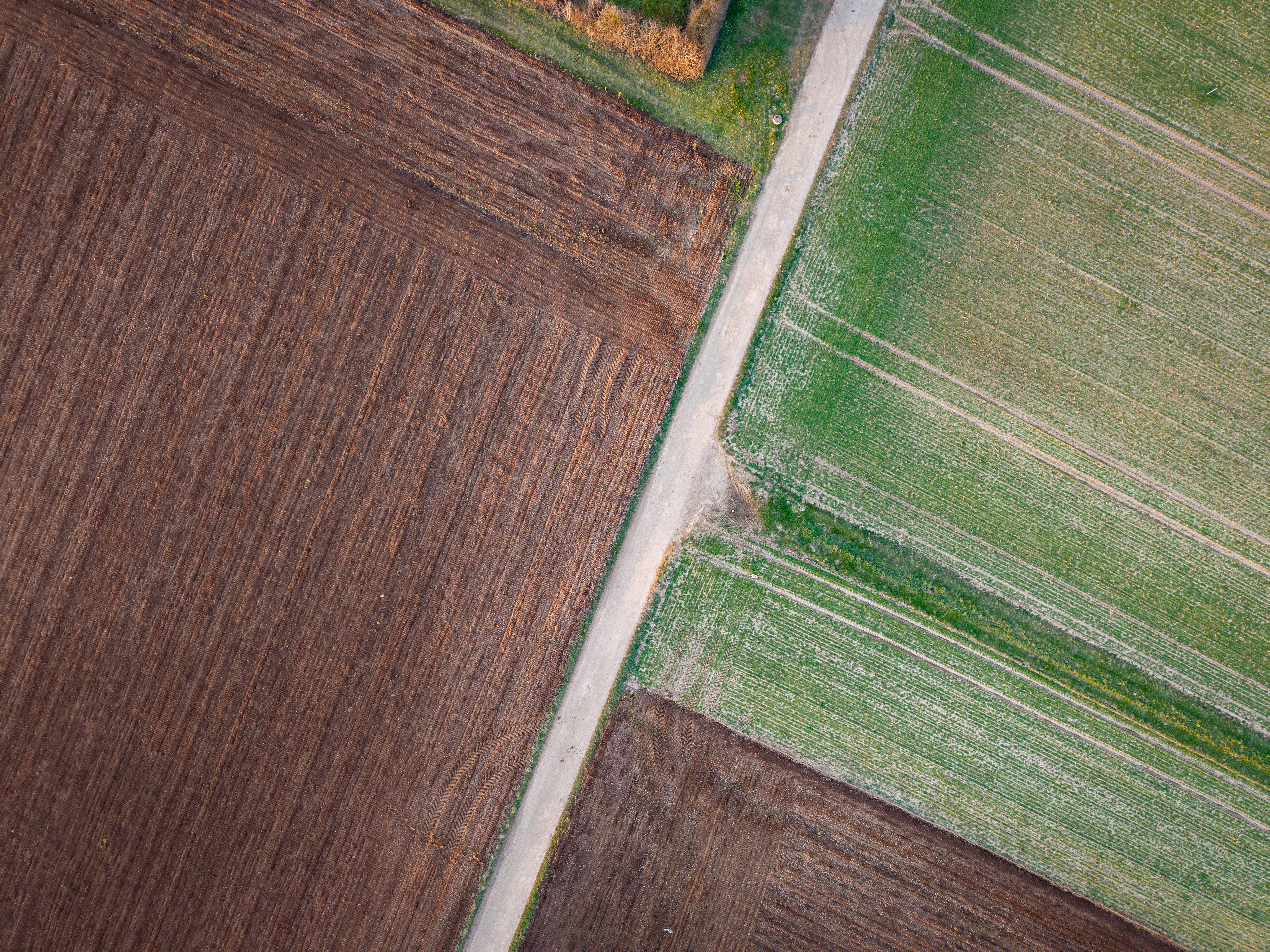 Contrasting brown and green fields divided by a dirt road, captured from above.