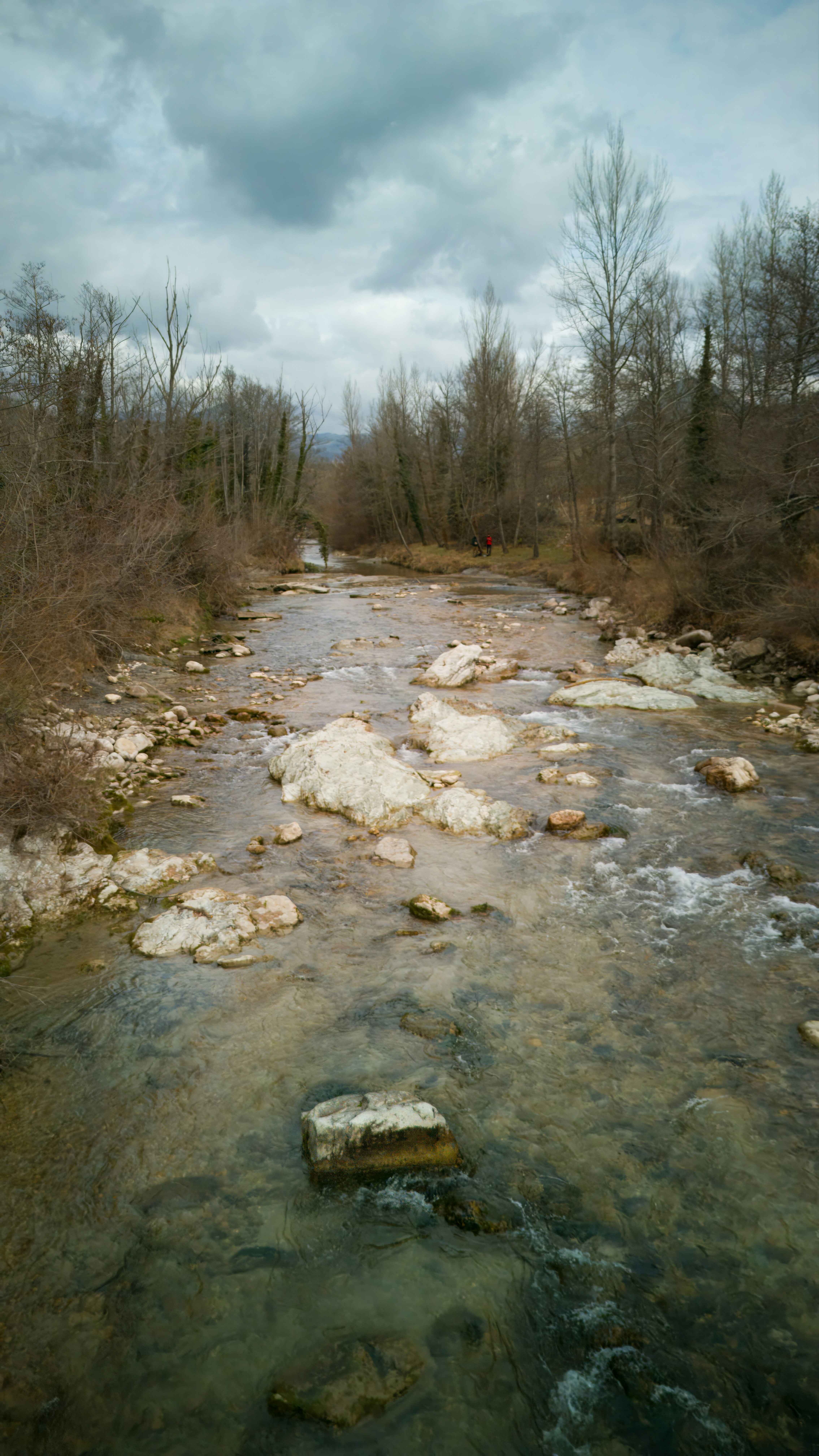 A rocky river flows through a forest.
