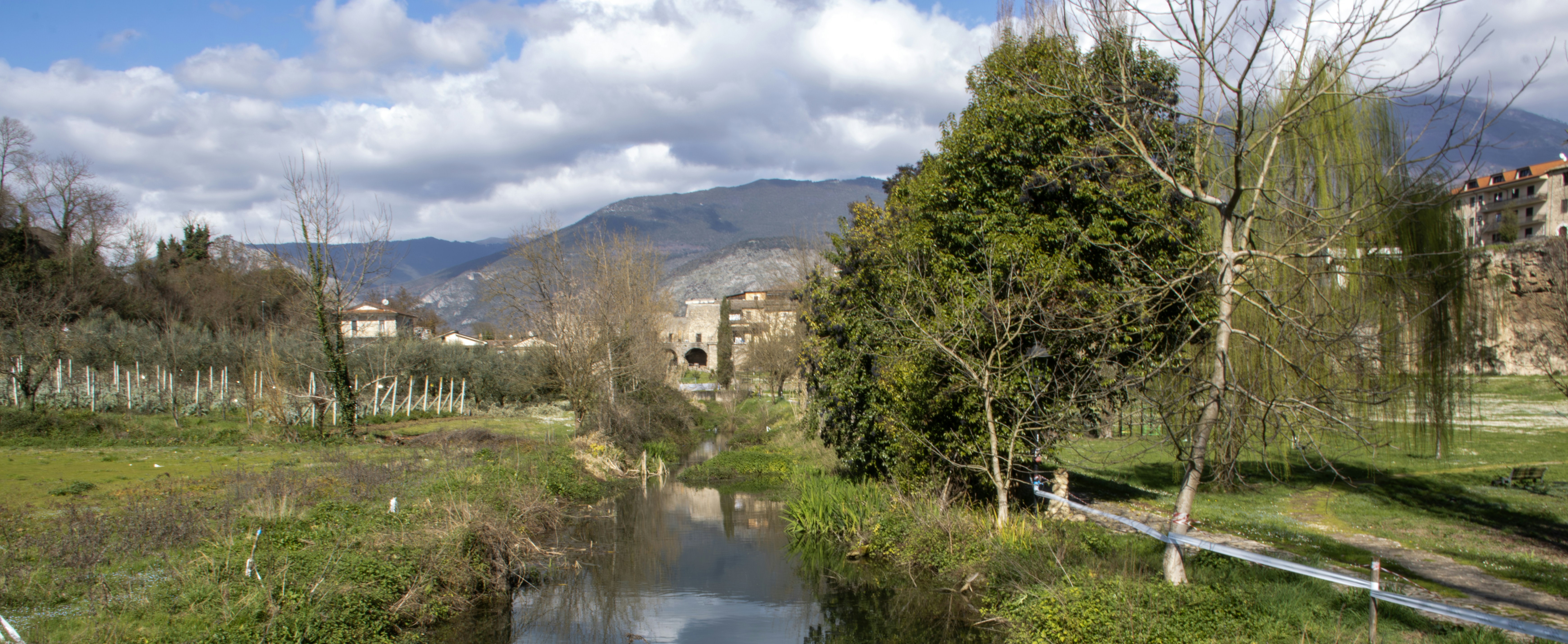 Serene Springtime Stream in the Countryside