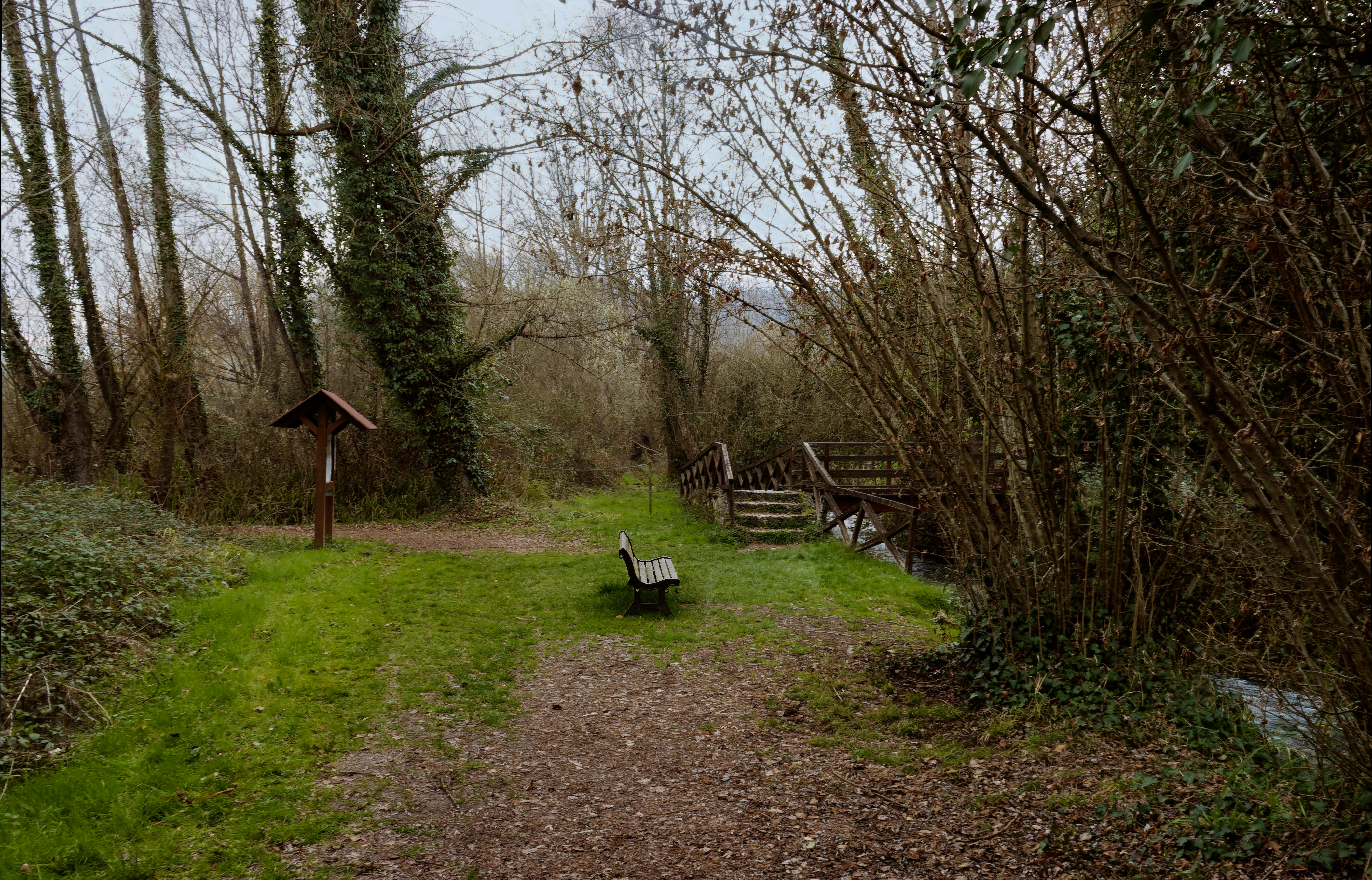 Serenity Awaits at Woodland's Edge