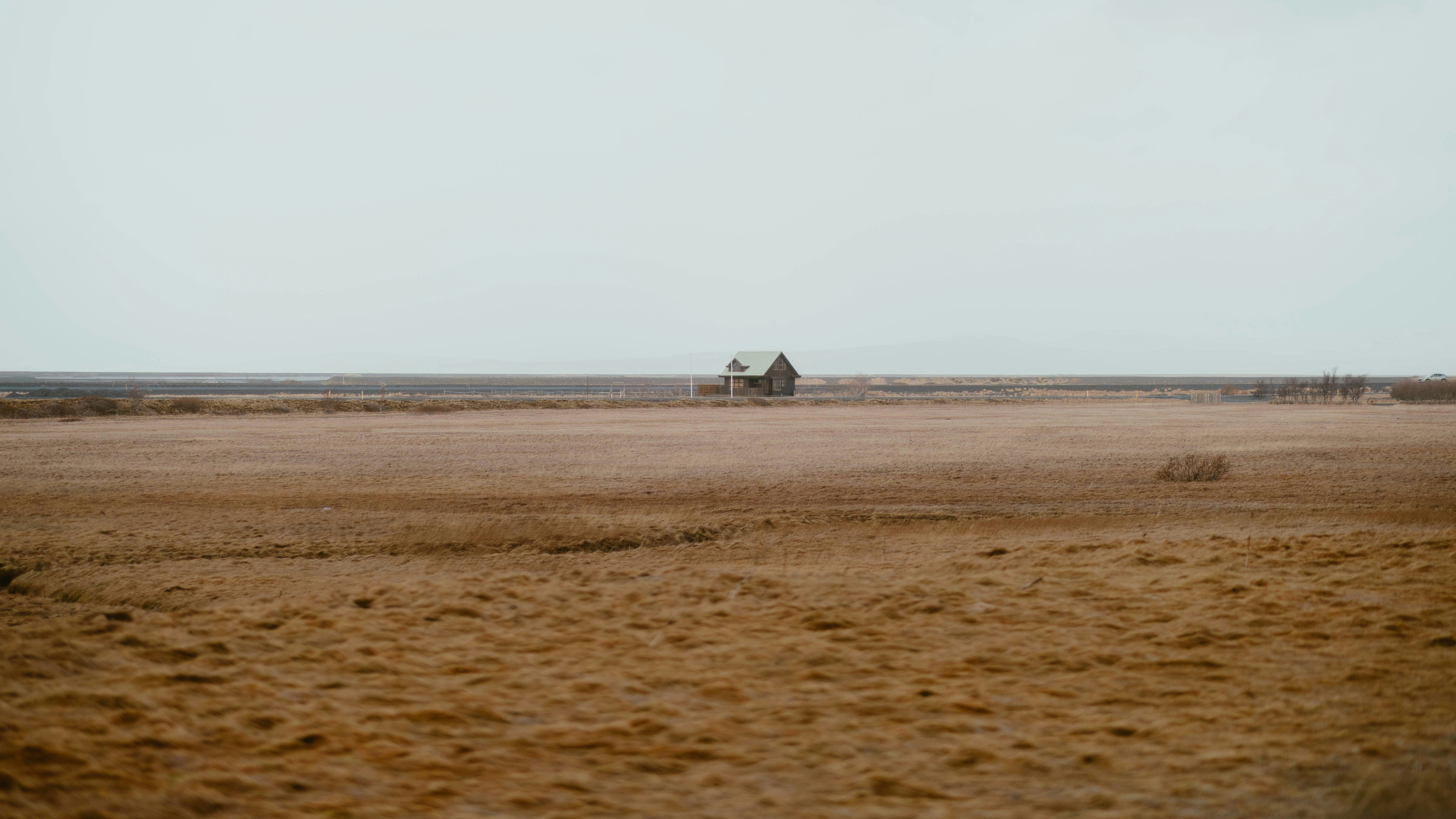 Solitary Homestead in a Golden Expanse