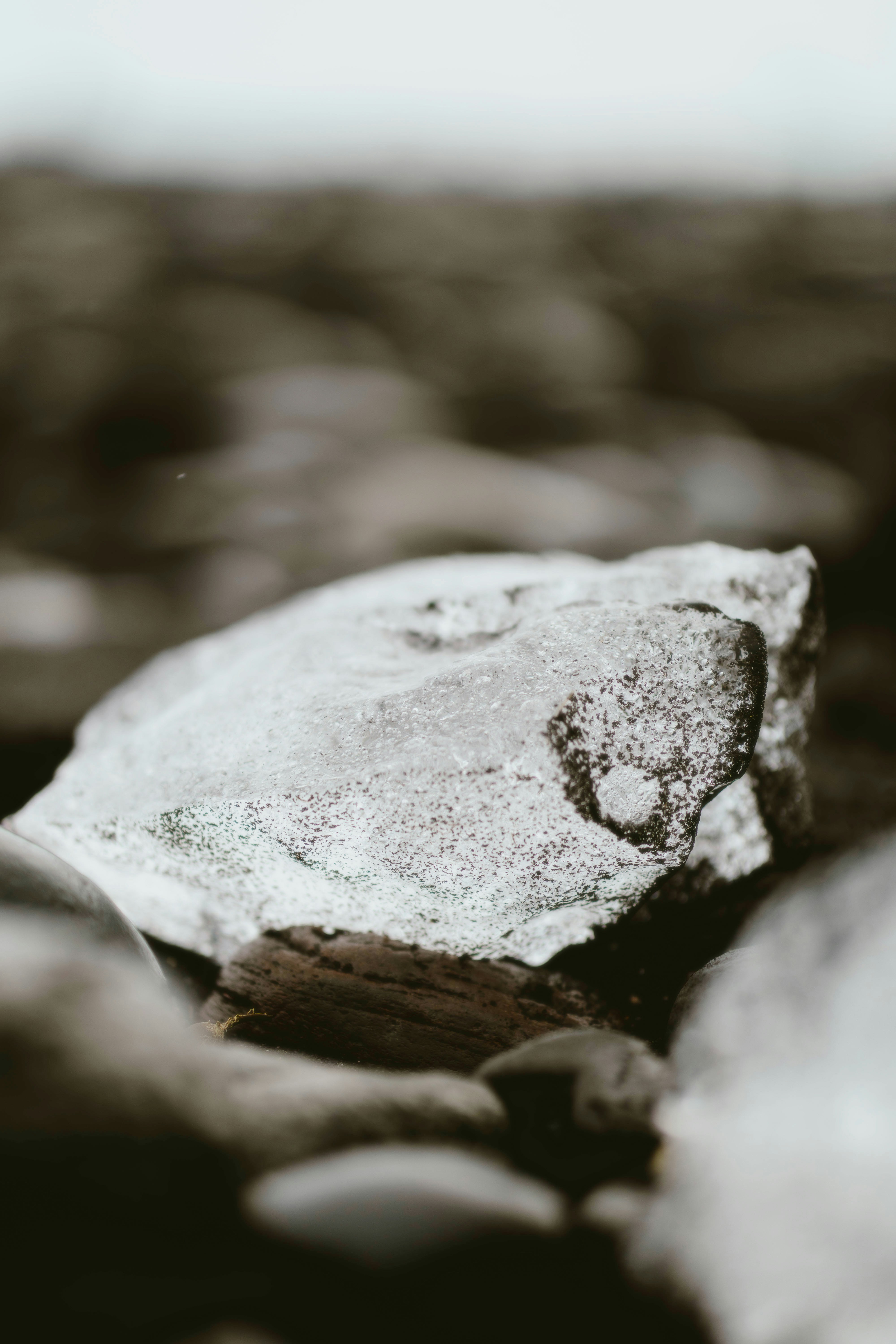 A close-up of stones and rocks. photo – Free Snow Image on Unsplash