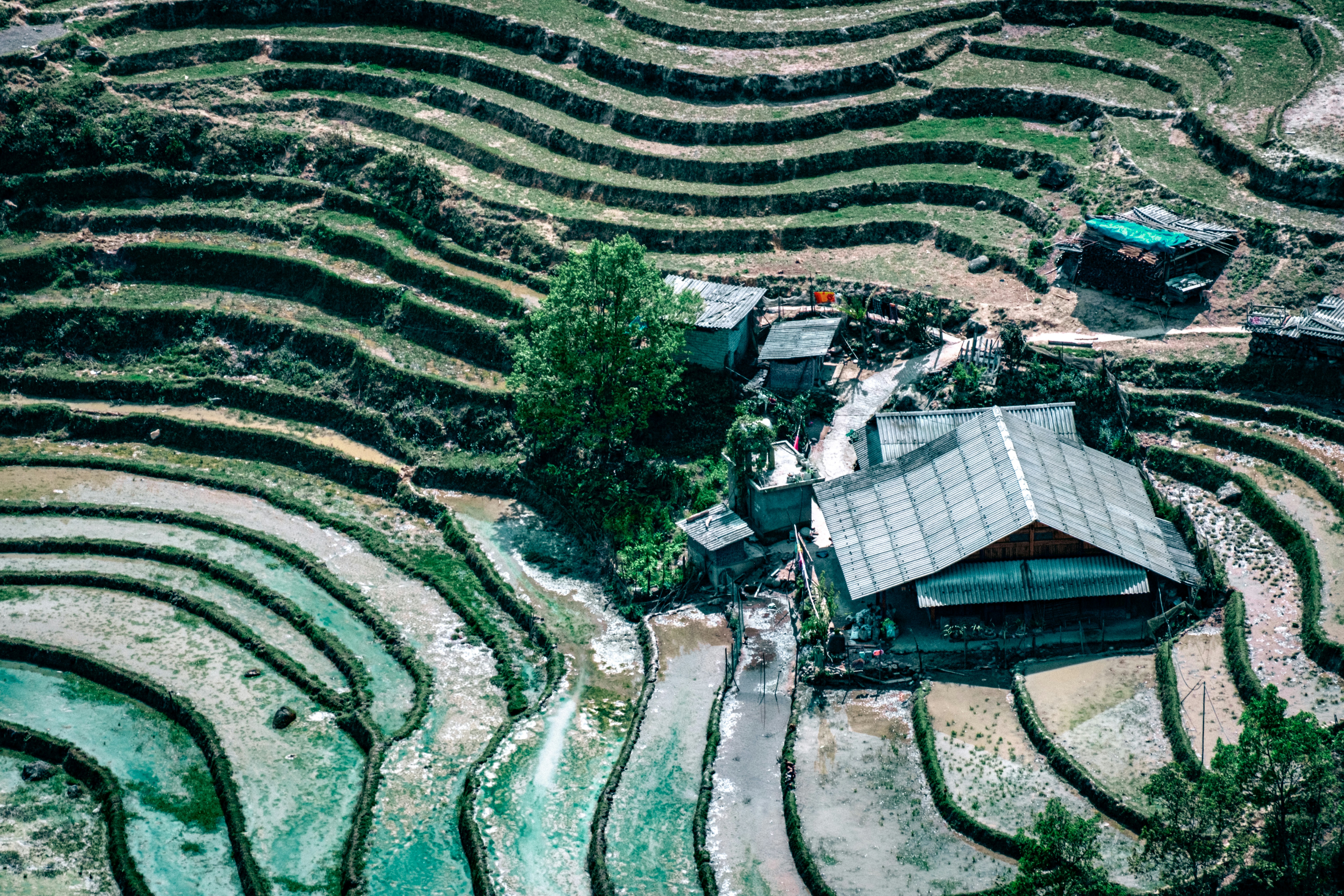 Verdant Waves: Terraced Fields of Sa Pa
