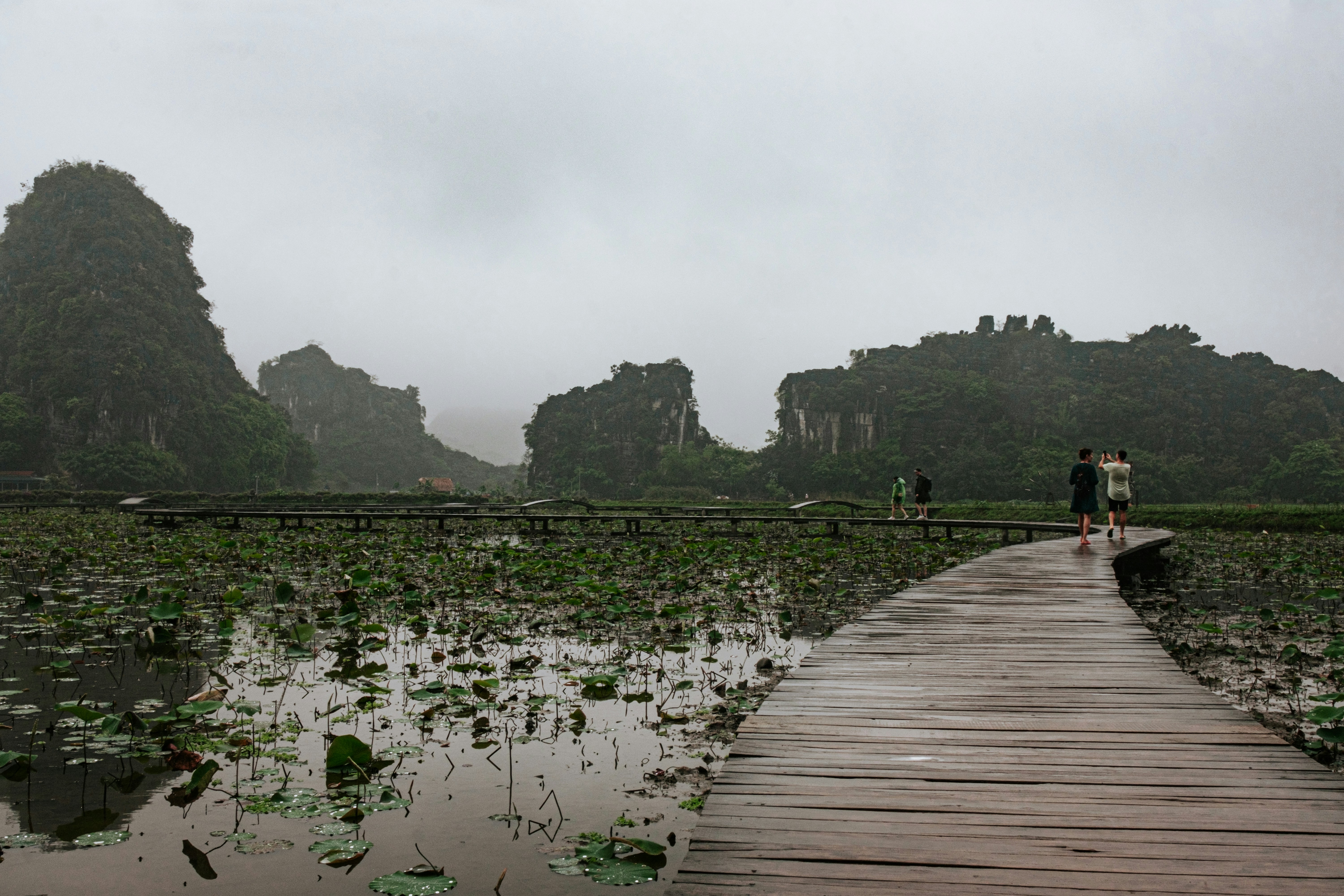 Mist-Soaked Boardwalk Toward Silent Limestone Peaks