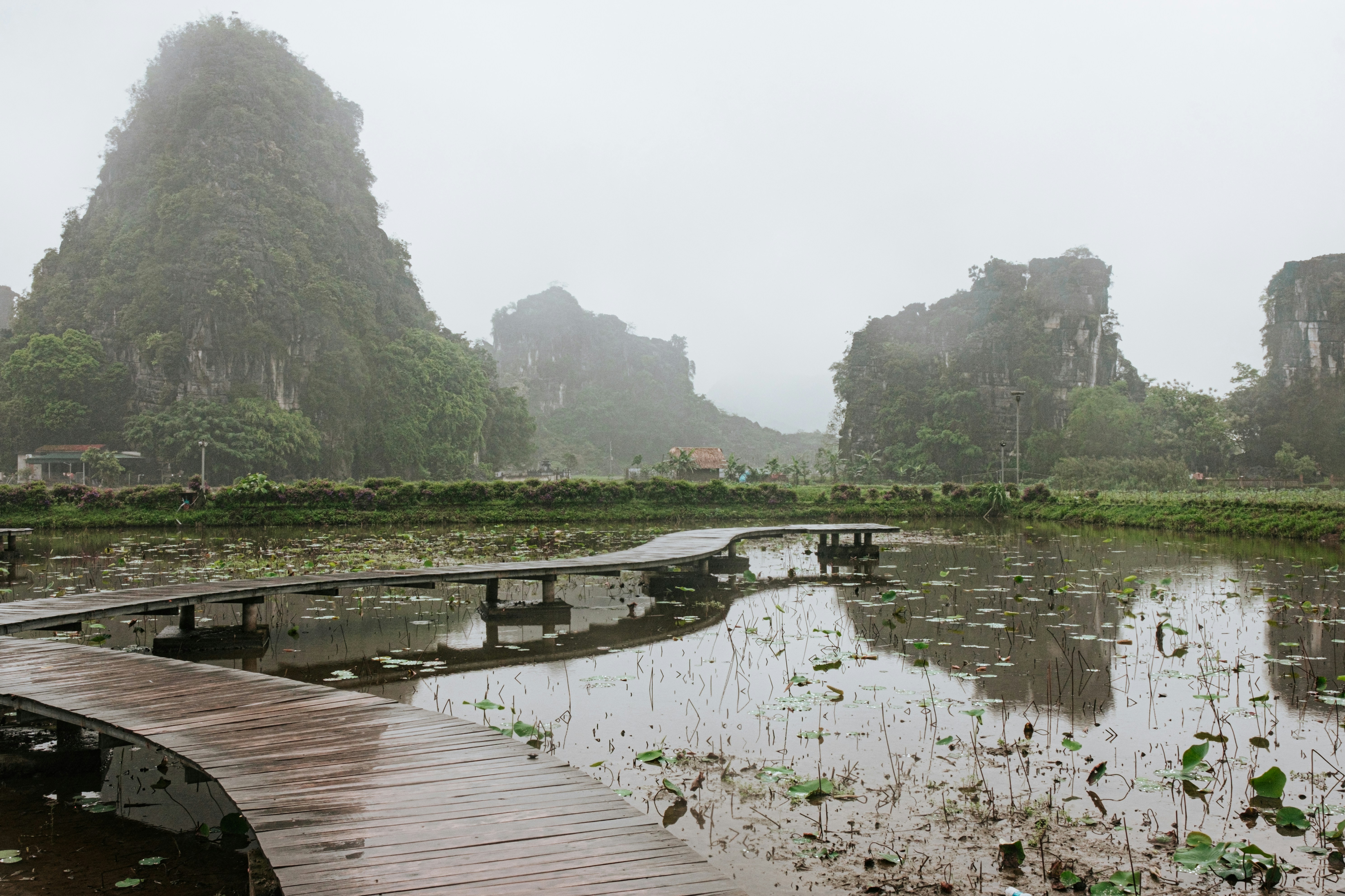 Tranquil Pathway Through Misty Limestone Peaks